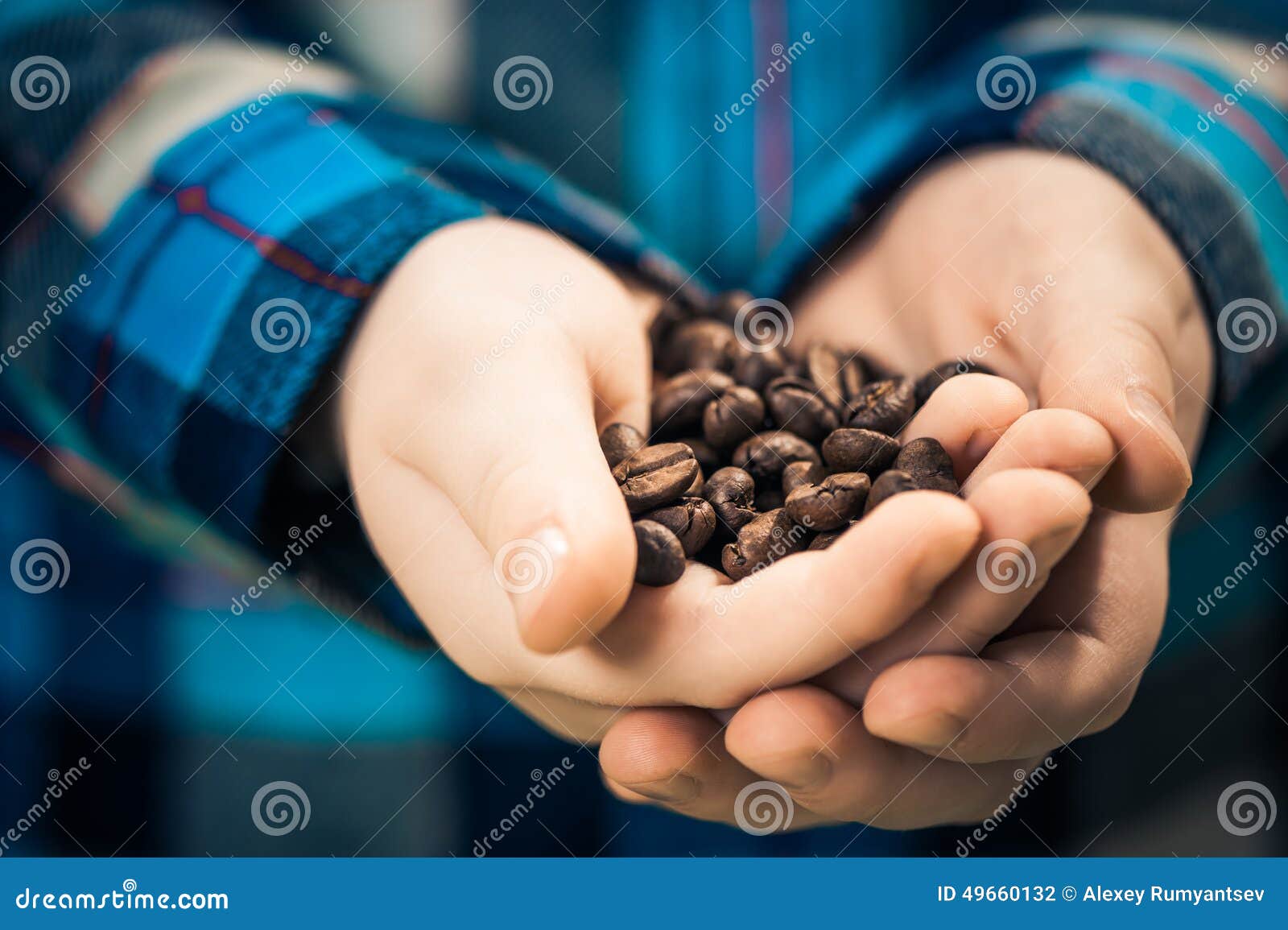 Coffee Beans in Child Palms Stock Photo - Image of palms, blend: 49660132