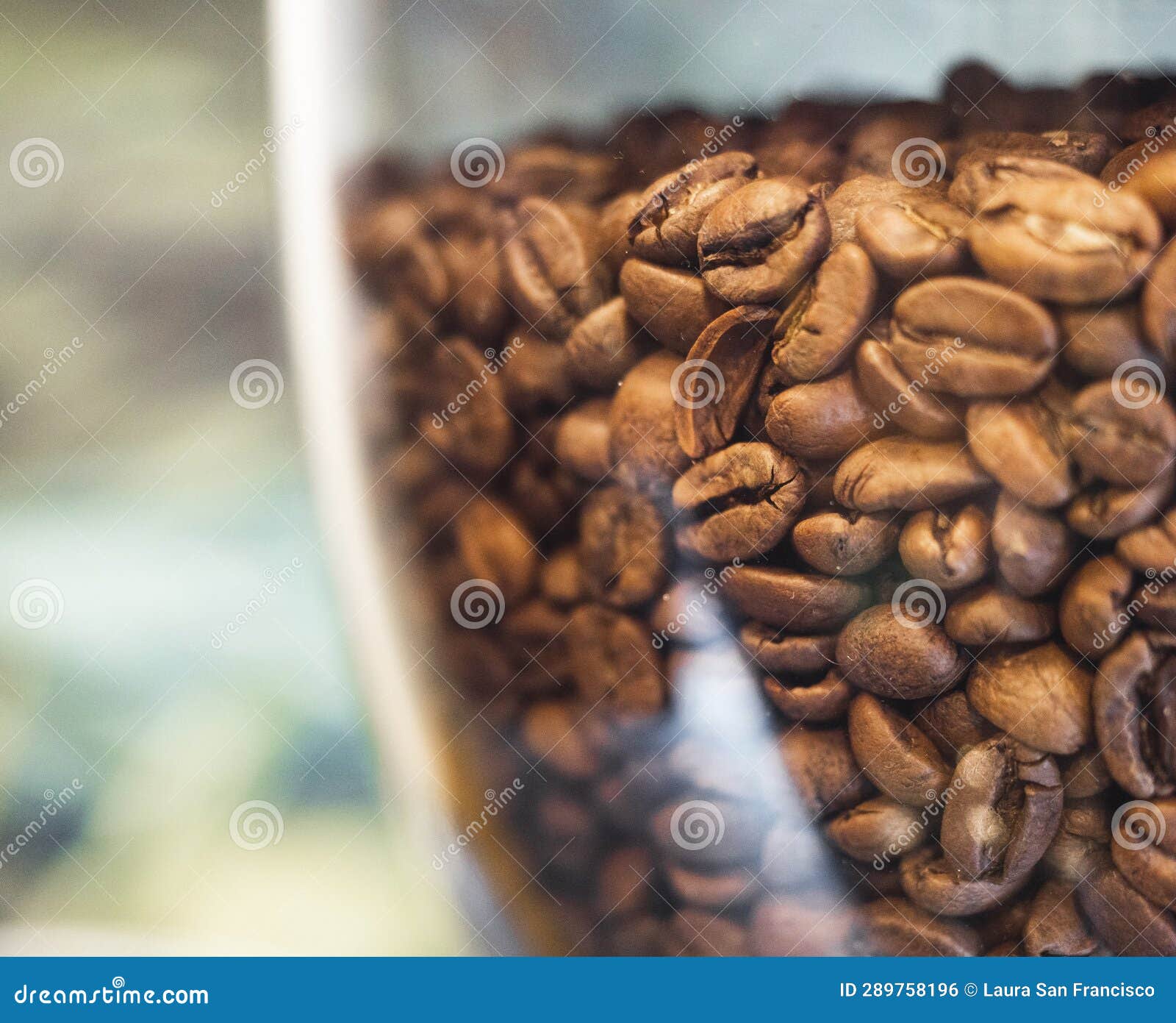 Coffee beans closeup stock photo. Image of robusta, beans - 289758196