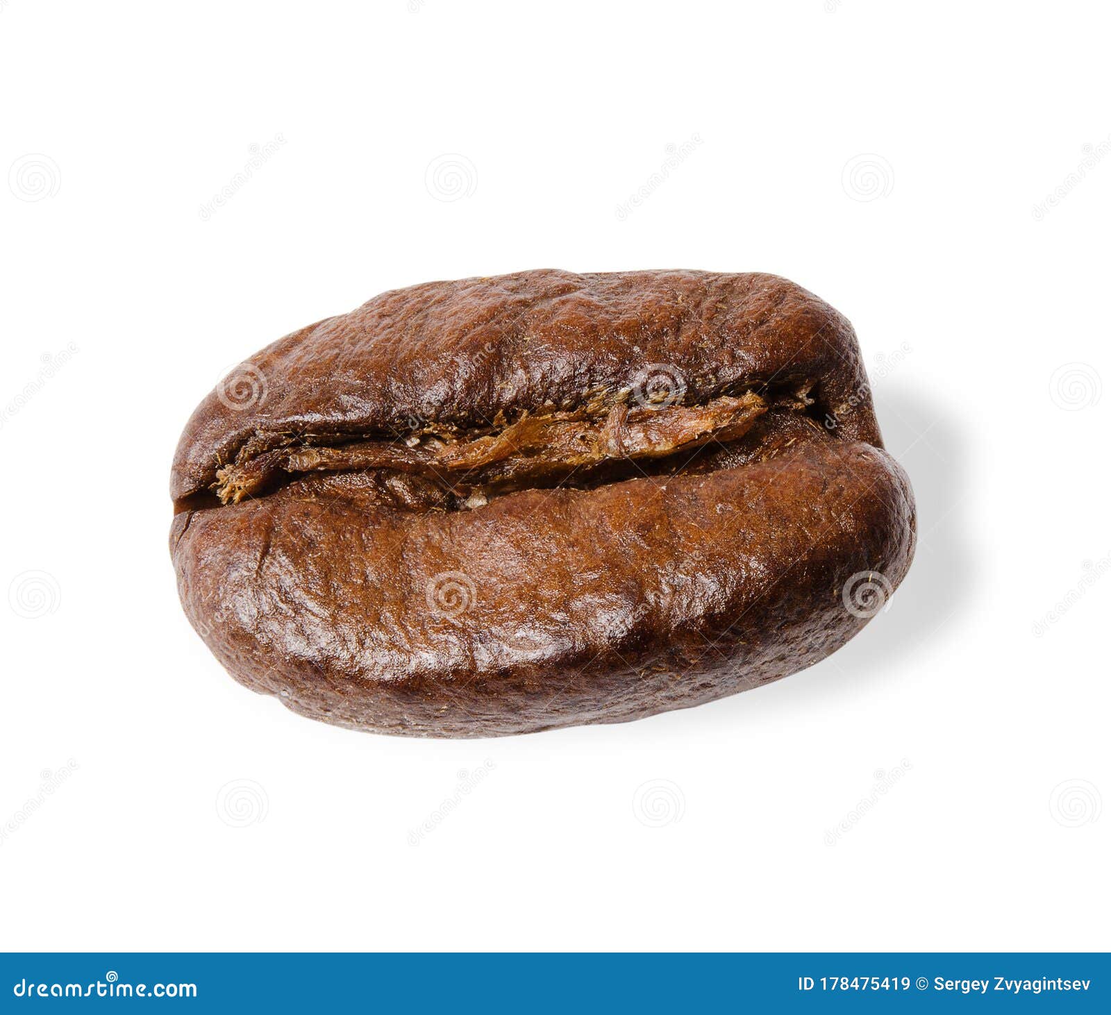 Coffee beans isolated stock image. Image of bean, coffe - 178475419
