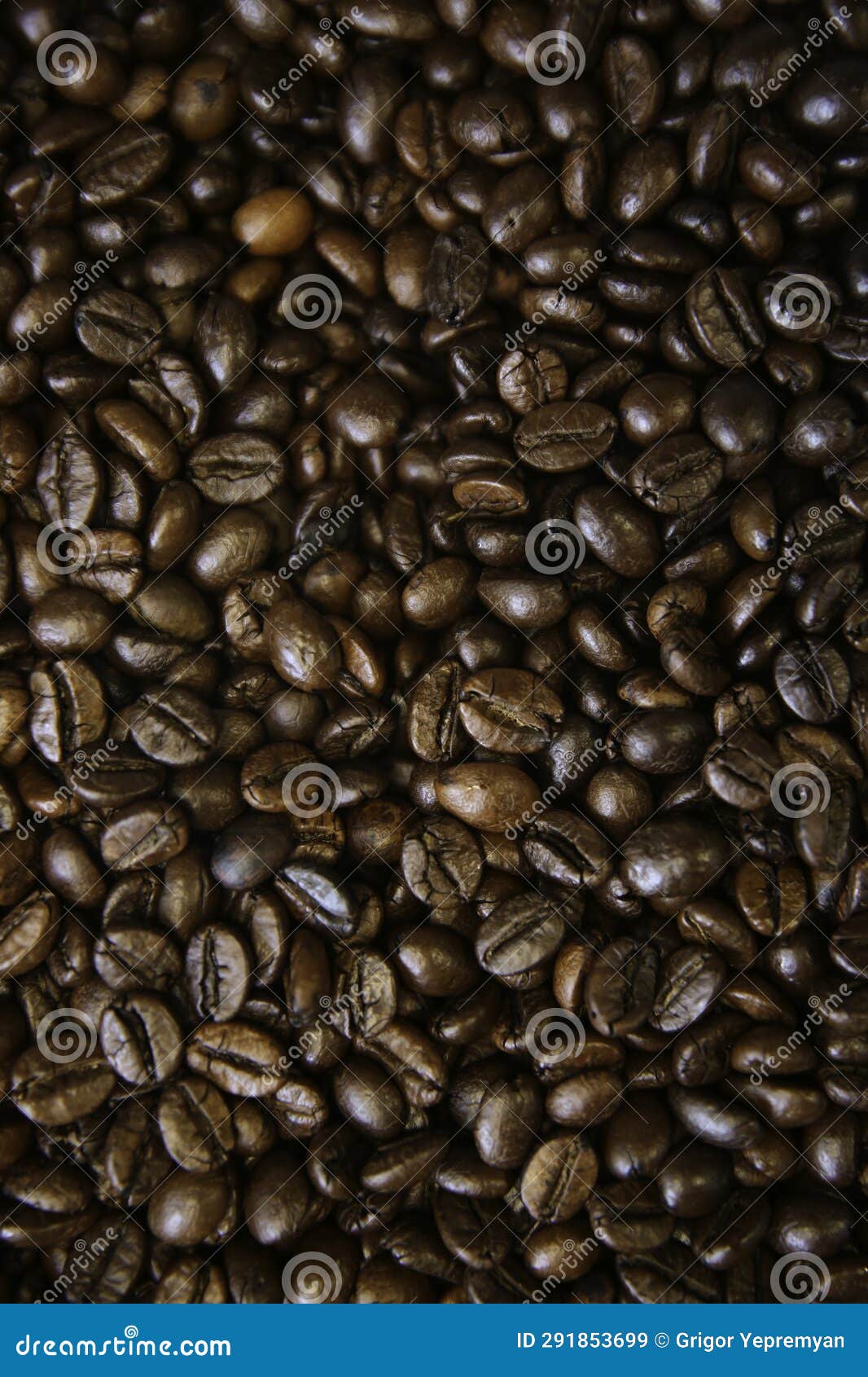 Coffee Beans. Coffee Beans are Spread Out on the Surface. Stock Image ...