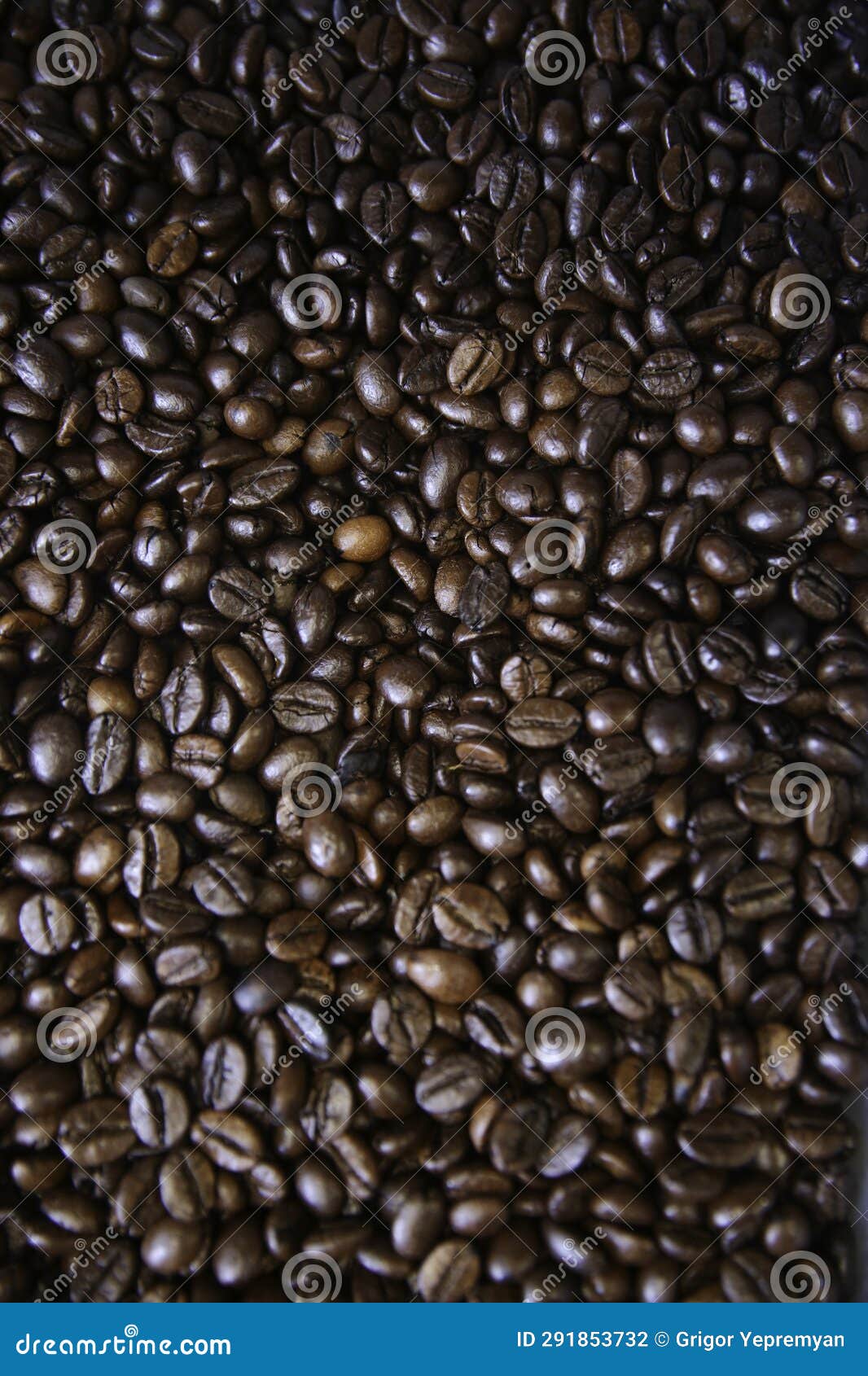Coffee Beans. Coffee Beans are Spread Out on the Surface. Stock Photo ...