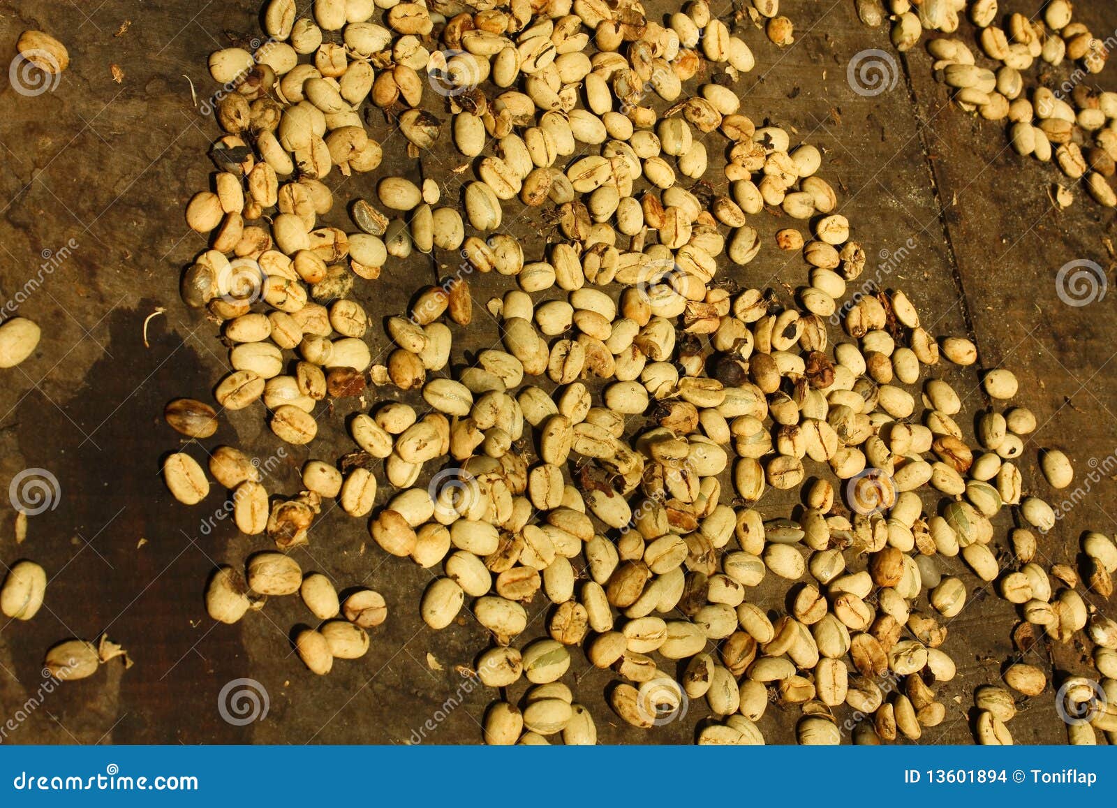 Coffee Beans, Cooked, Dry in the Sun Stock Photo - Image of beans ...
