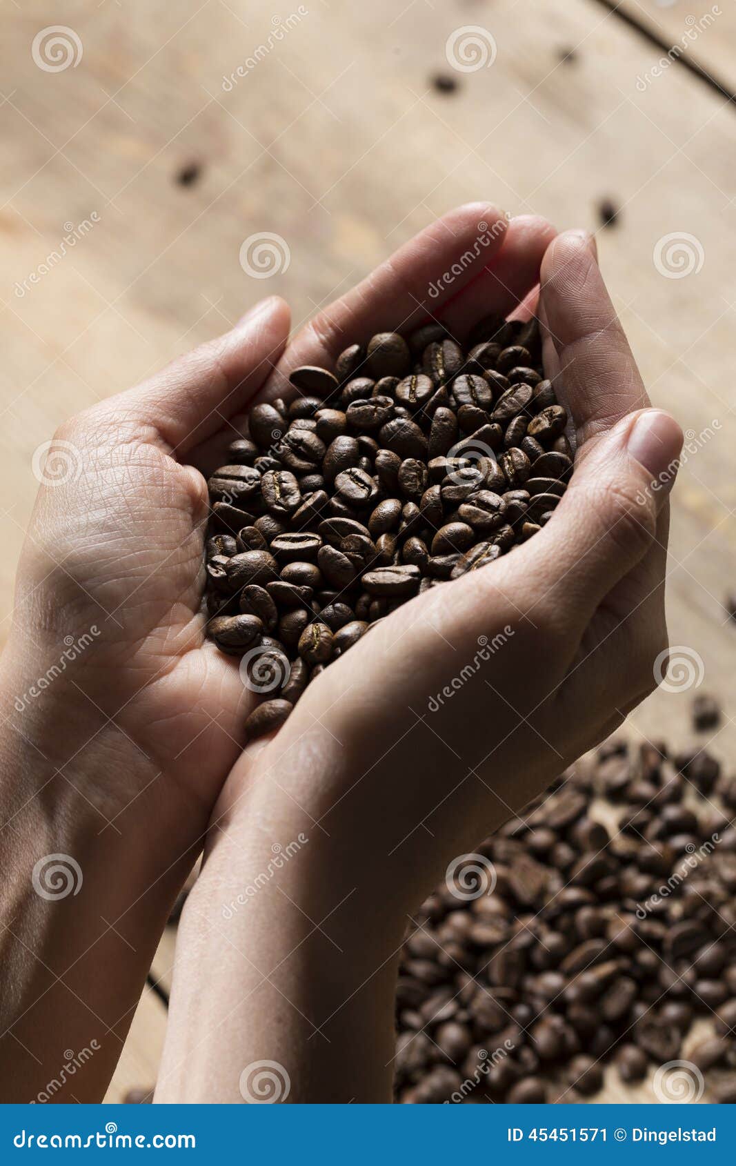 Coffee Beans Cupped in a Human Hand Stock Image - Image of beverage ...