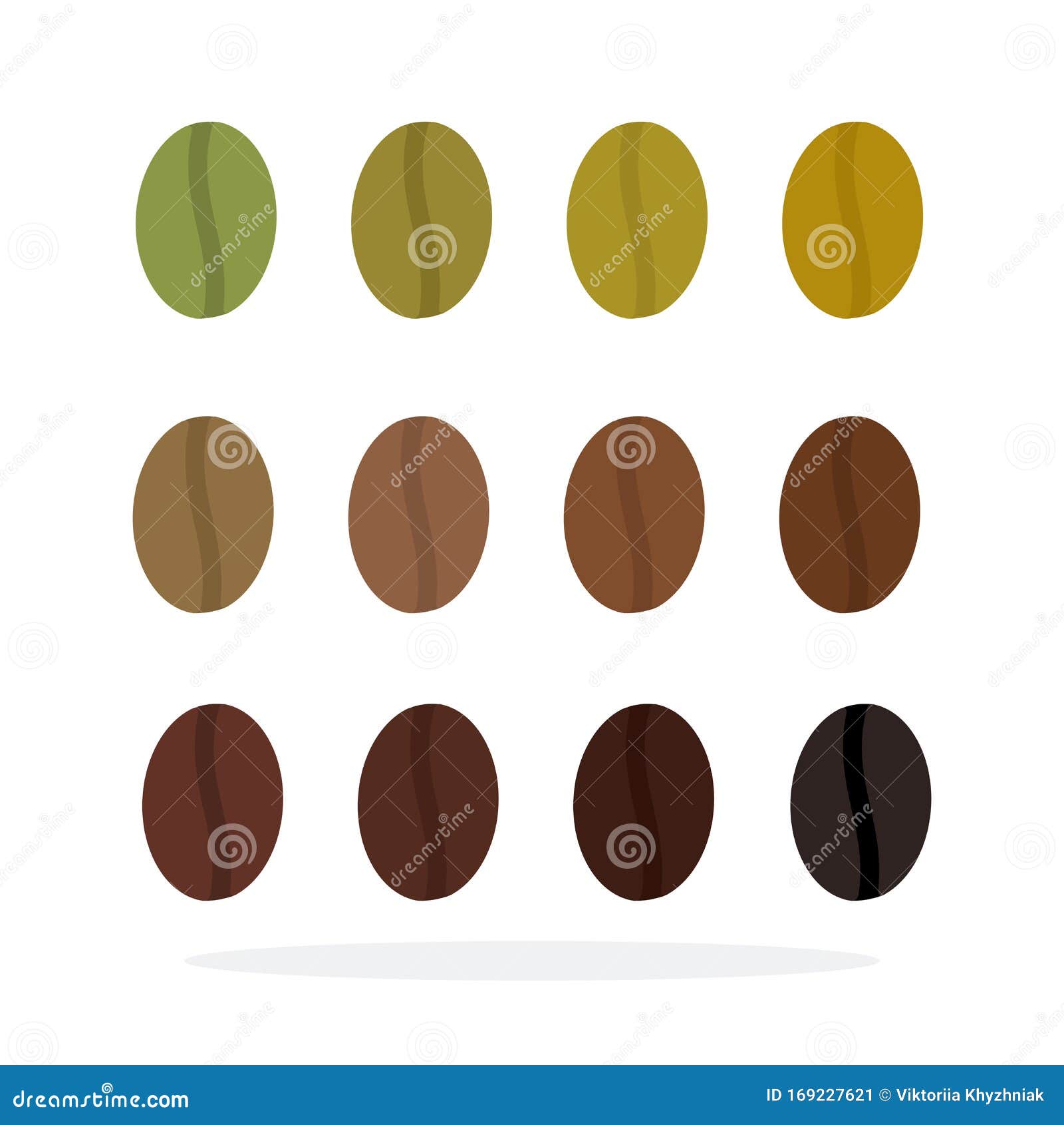 Coffee Beans of Different Colors Vector Flat Isolated Stock Vector ...