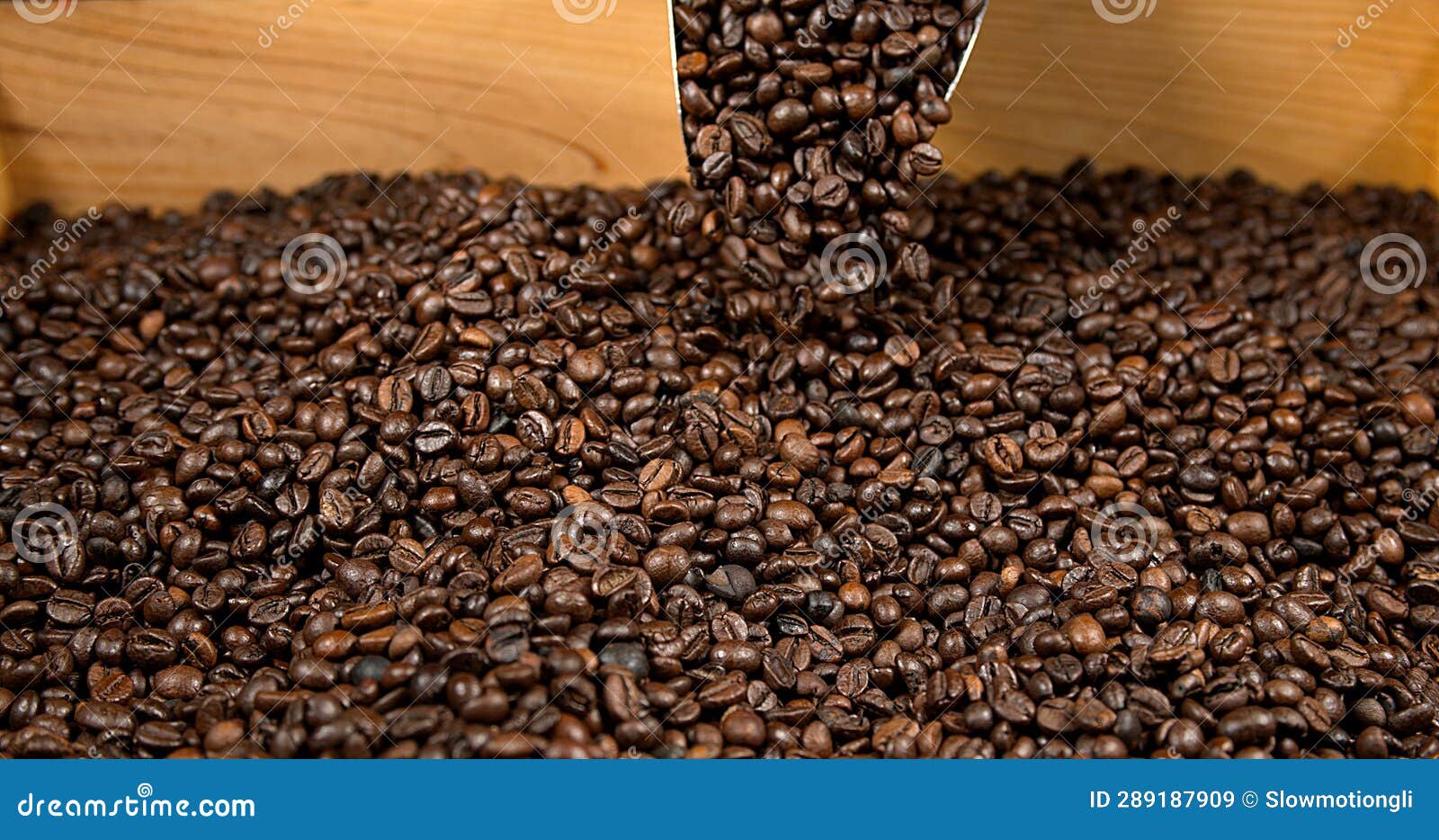 Coffee Beans Falling stock image. Image of industry - 289187909