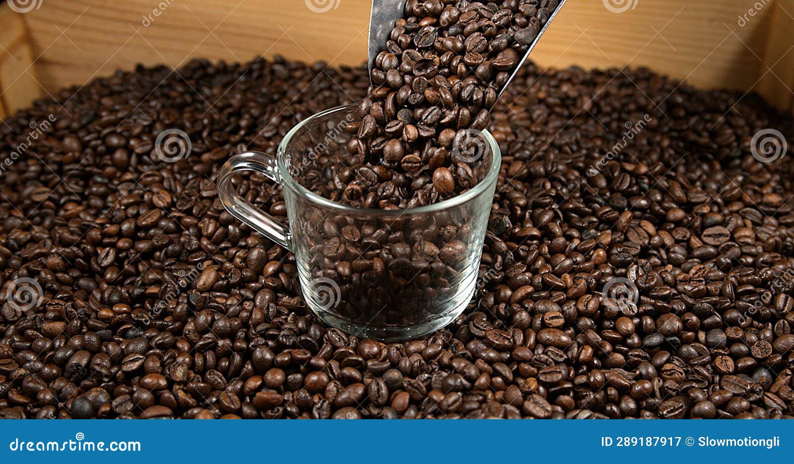 Coffee Beans Falling stock image. Image of action, concepts - 289187917