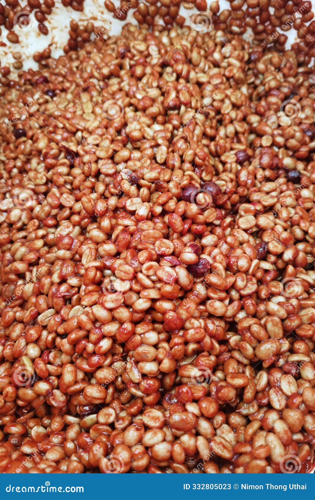 Coffee Beans,in the Ferment and Wash Method Stock Image - Image of ...