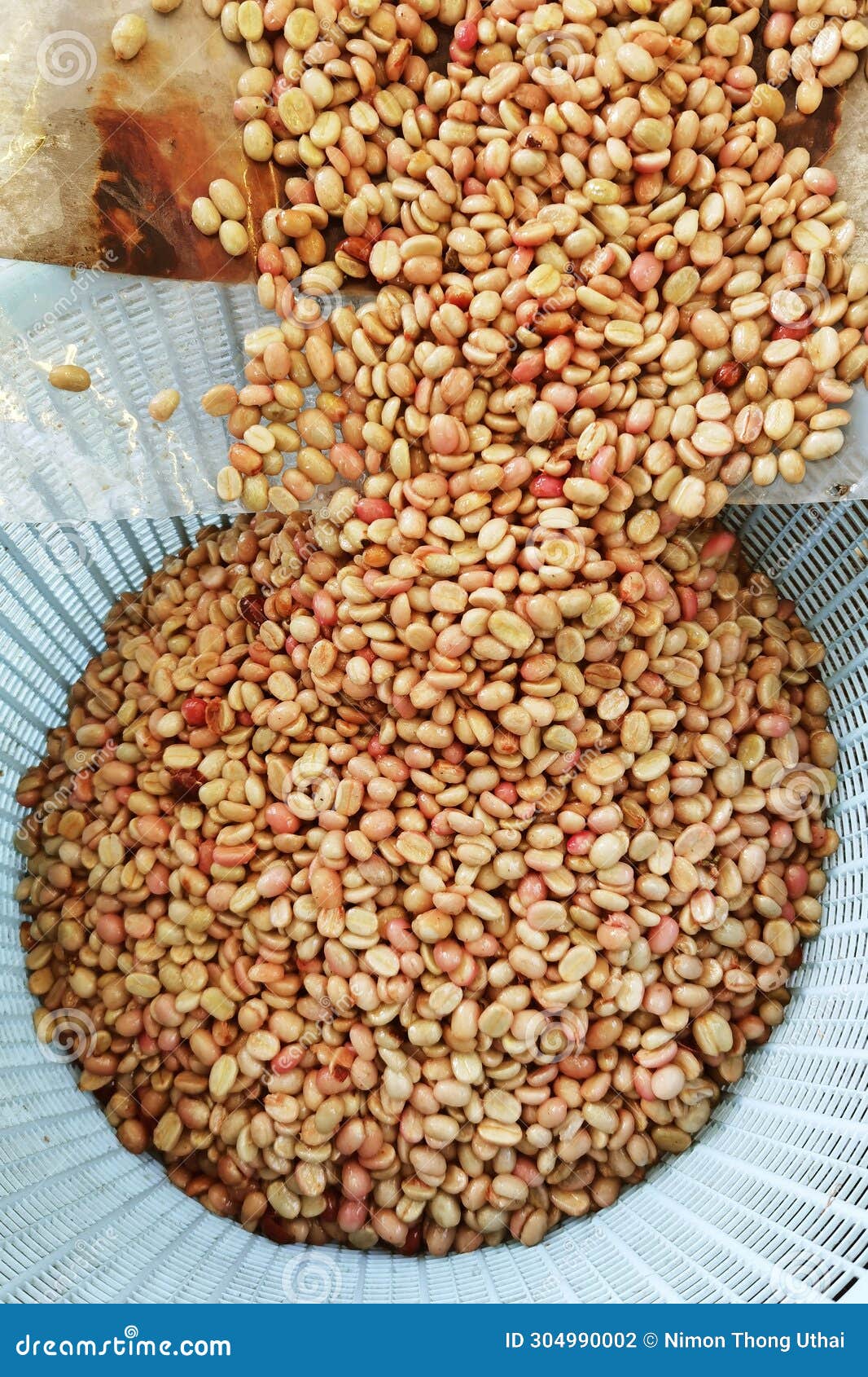 Coffee Beans,in the Ferment and Wash Method Stock Photo - Image of ...