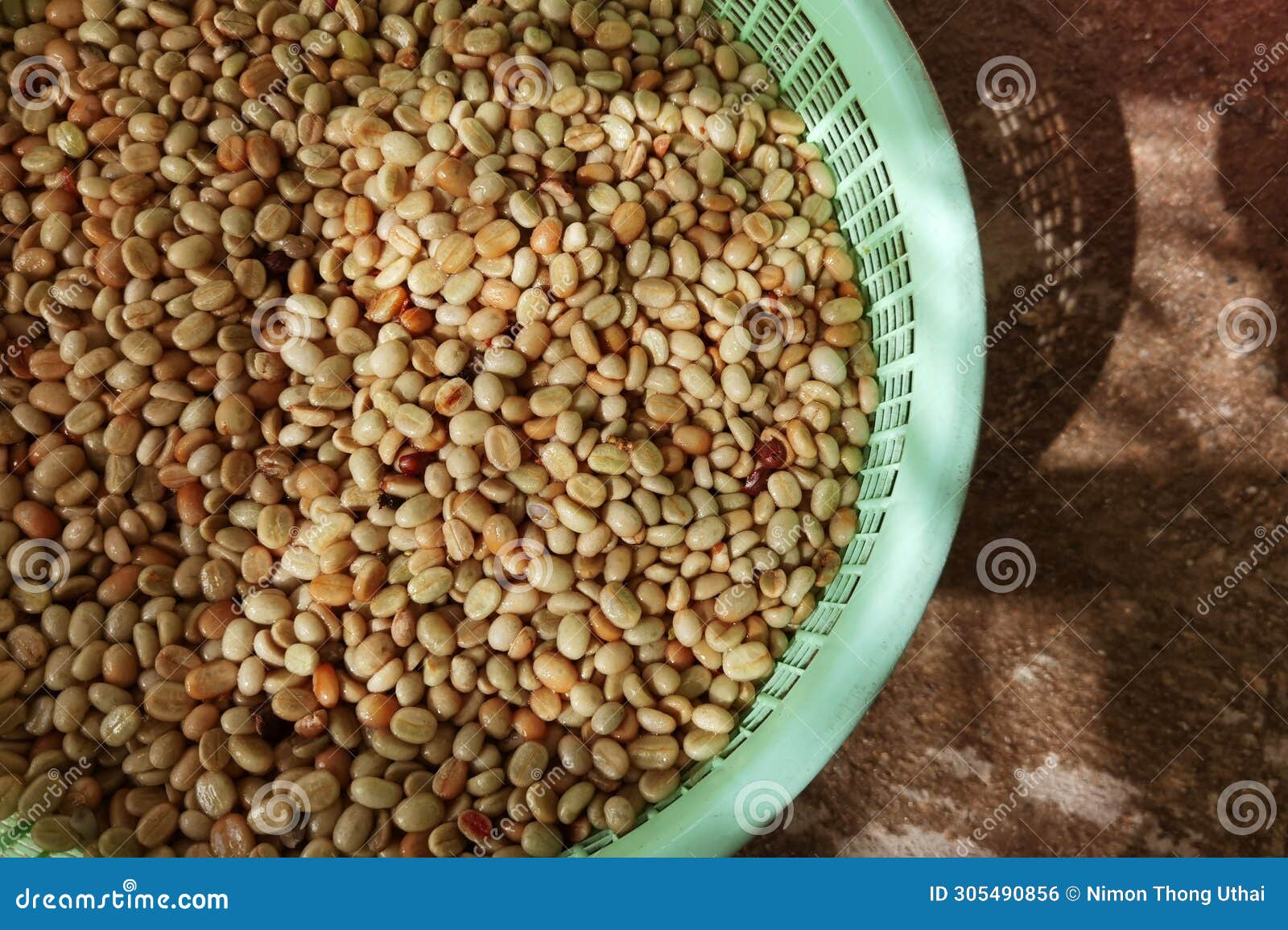 Coffee Beans,in the Ferment and Wash Method Stock Photo - Image of bean ...