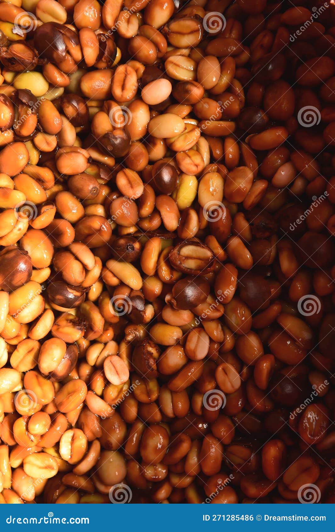 Coffee Beans,in the Ferment and Wash Method Stock Photo - Image of ...