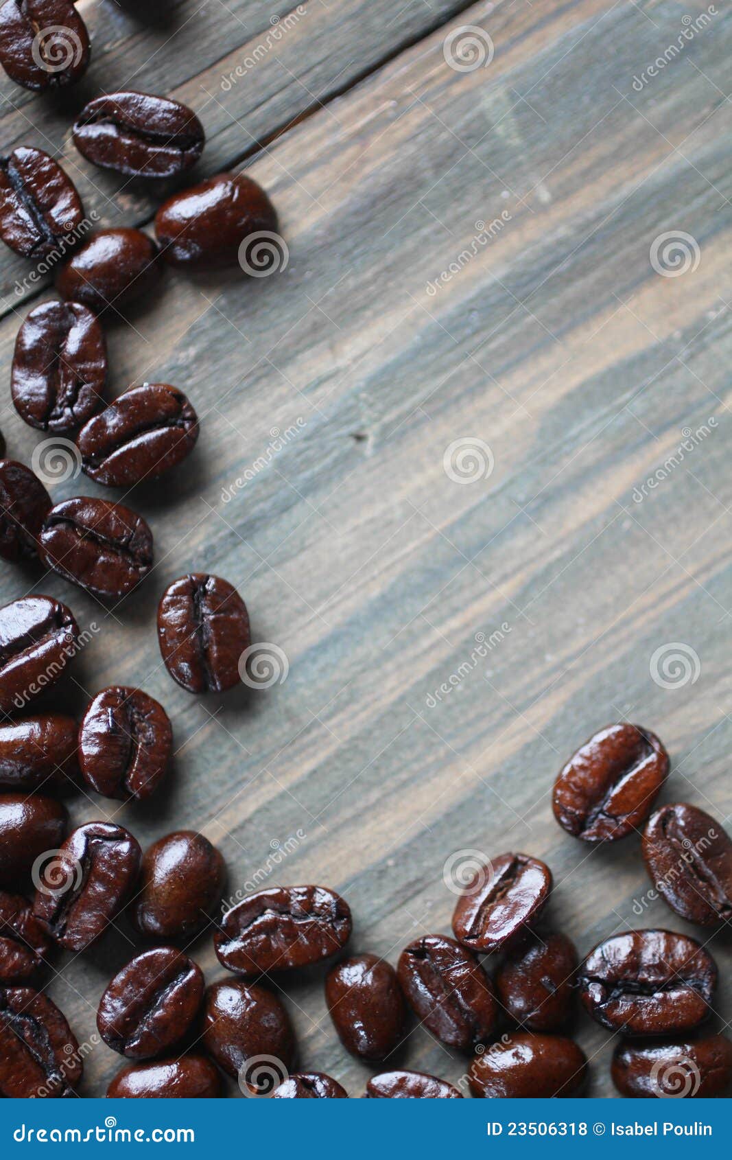 Coffee beans frame stock photo. Image of shiny, still - 23506318
