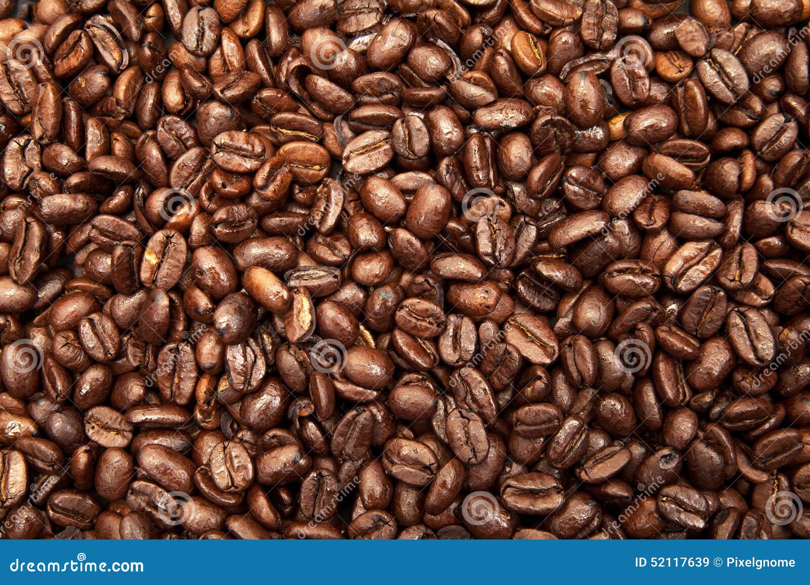 Coffee beans stock image. Image of isolated, group, cappuccino - 52117639