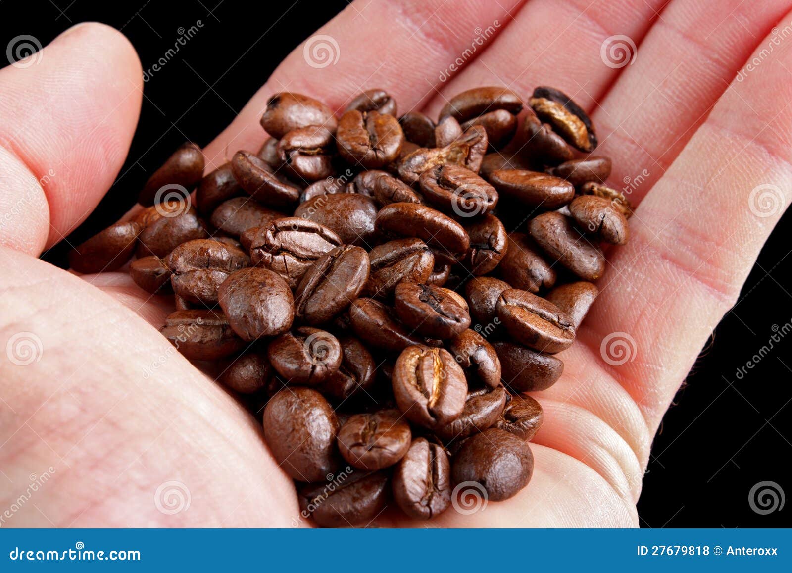 Coffee beans in hand stock photo. Image of brown, bean - 27679818