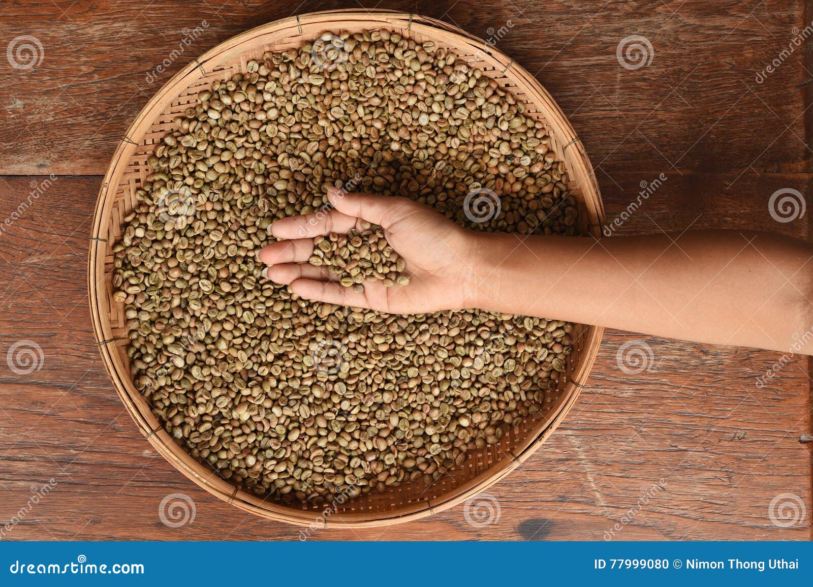 Coffee beans on hand stock photo. Image of agriculture - 77999080