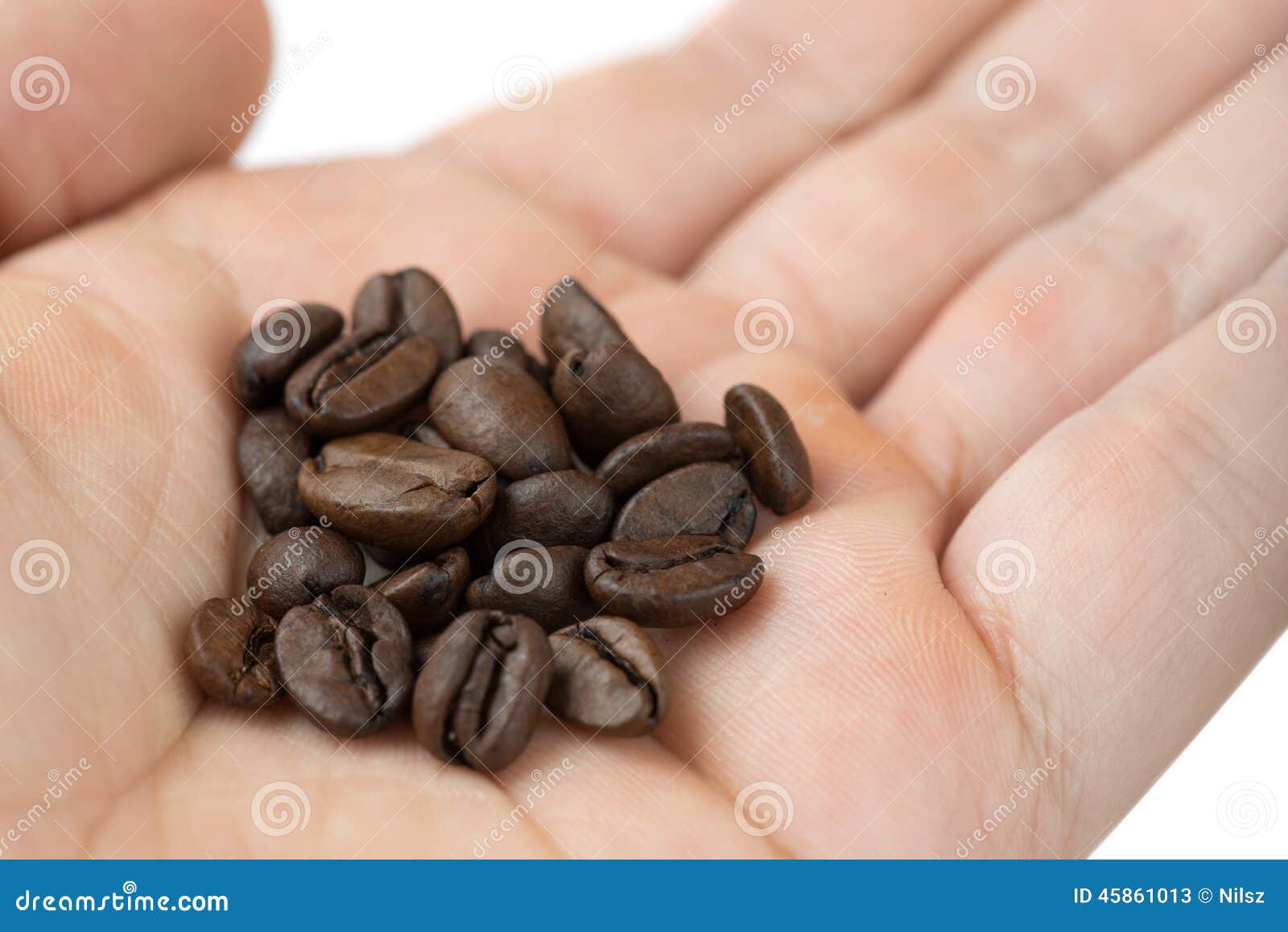 Coffee Beans in Hand stock image. Image of breakfast - 45861013
