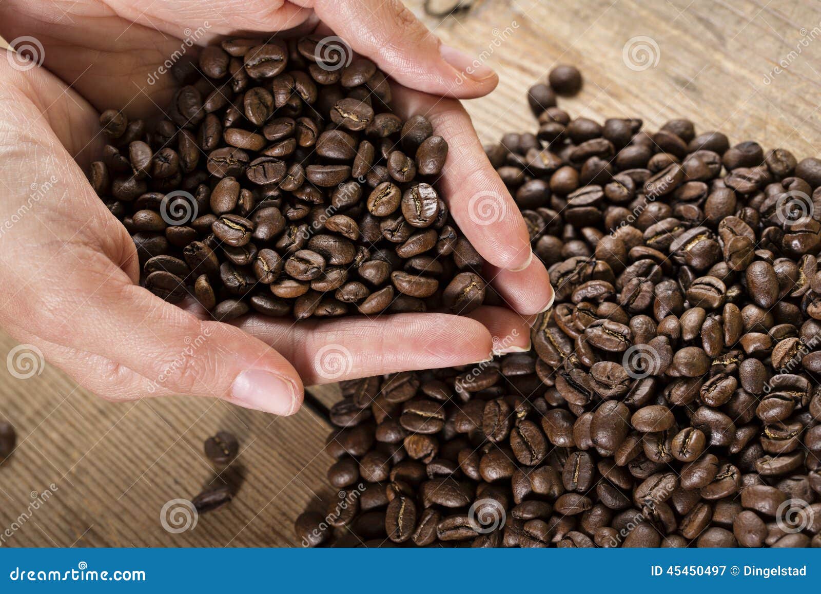Coffee beans in hands stock image. Image of texture, hands - 45450497