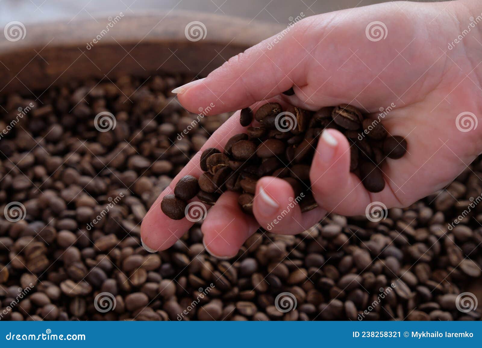 Coffee beans in the hands stock image. Image of beans - 238258321
