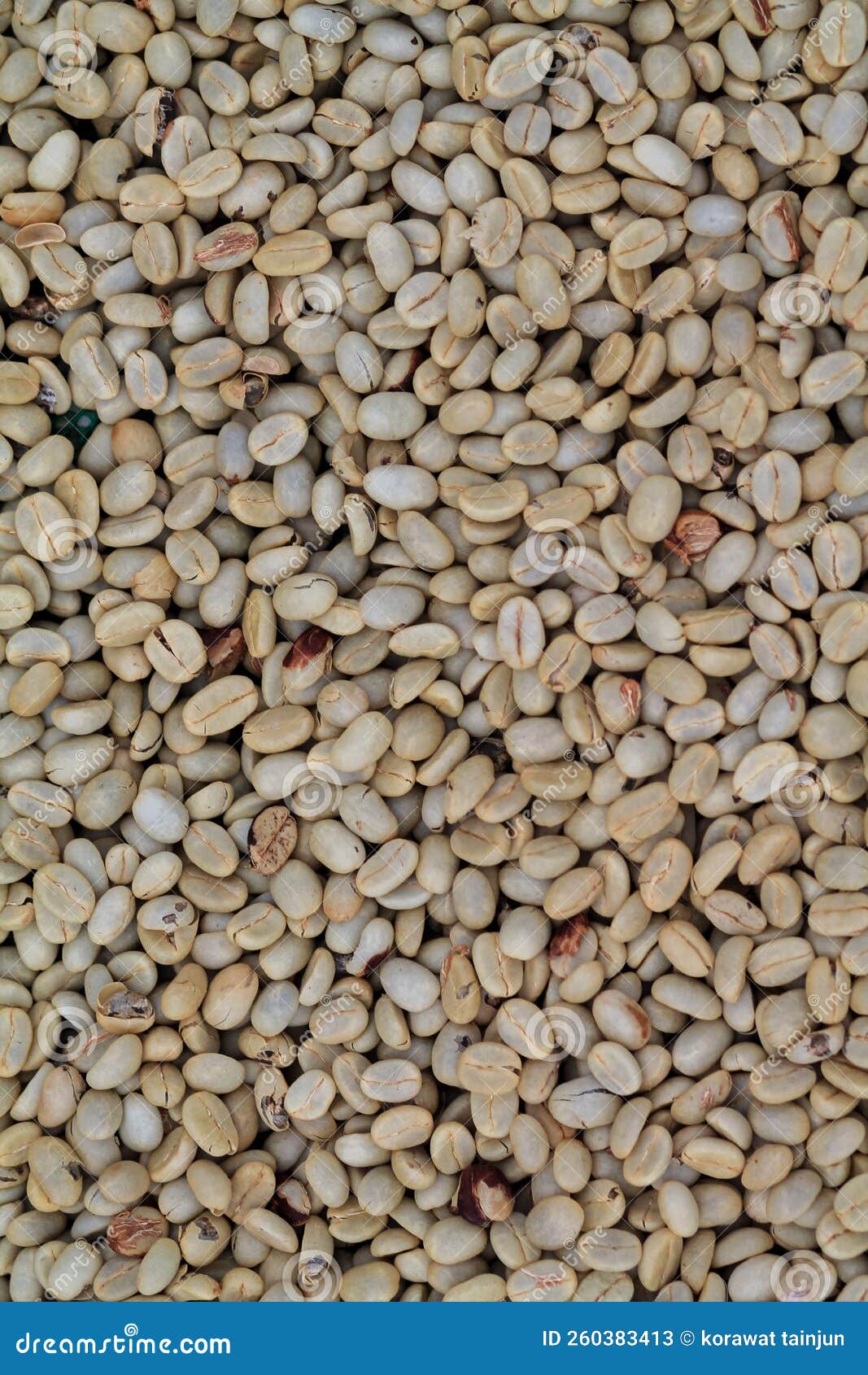 Coffee Beans that Have Been Sun Dried because they are in the Process ...