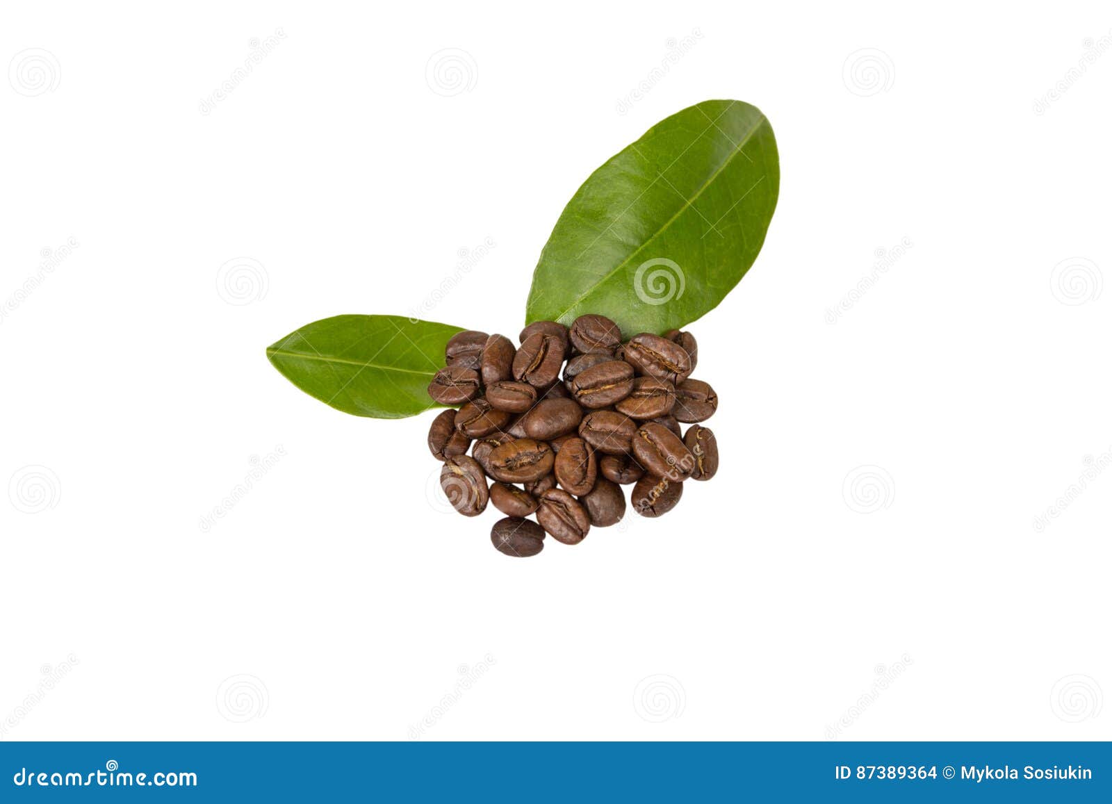 Coffee beans isolated stock photo. Image of bean, grain - 87389364