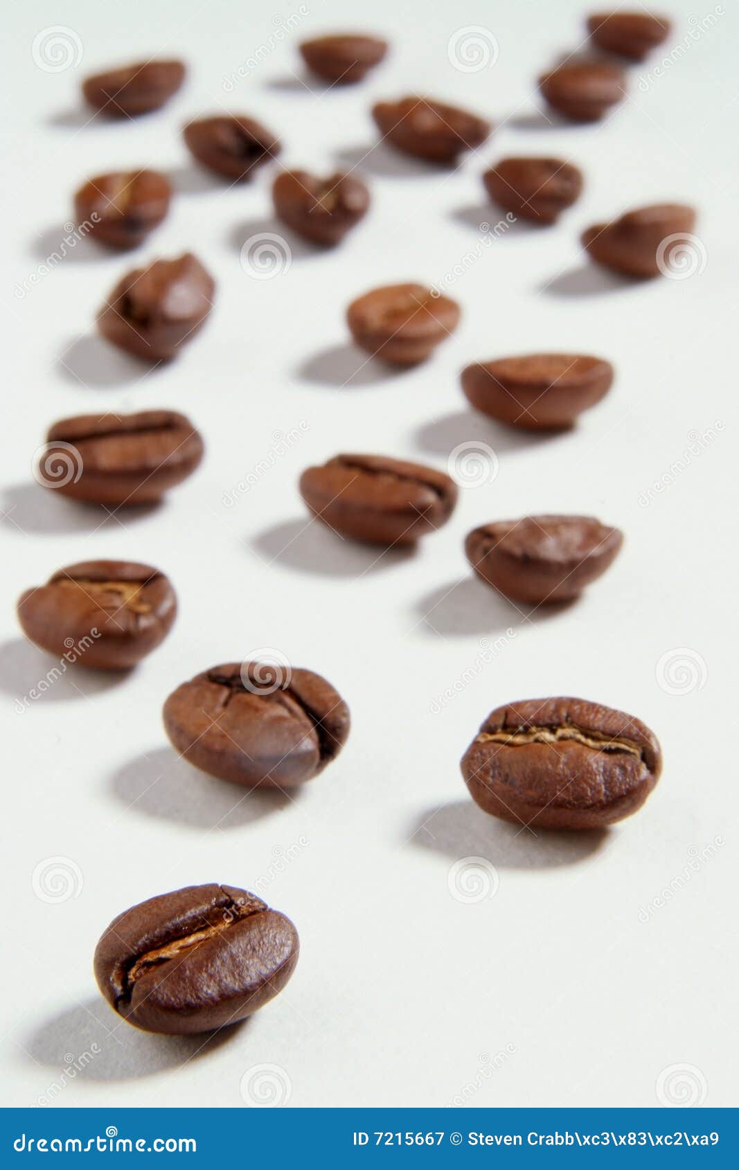 Coffee Beans Isolated on White Stock Image - Image of details, exocarp ...