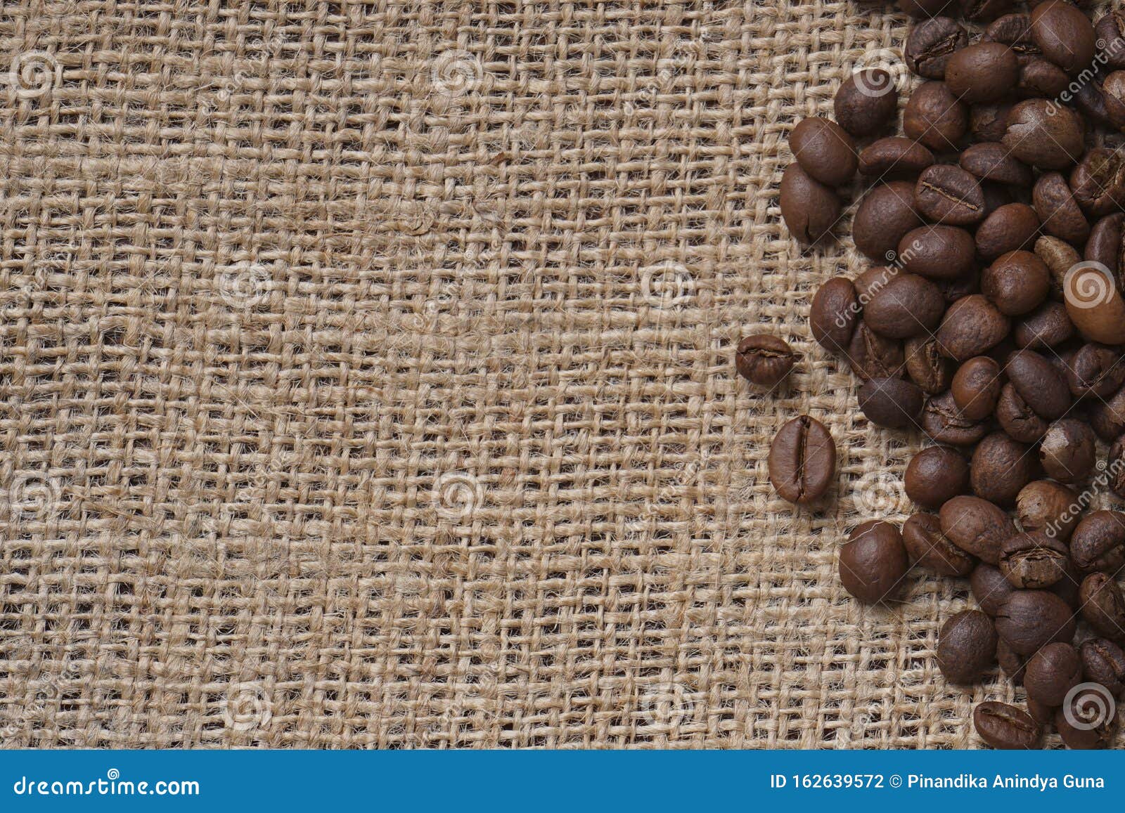 Coffee beans on jute stock photo. Image of agriculture - 162639572