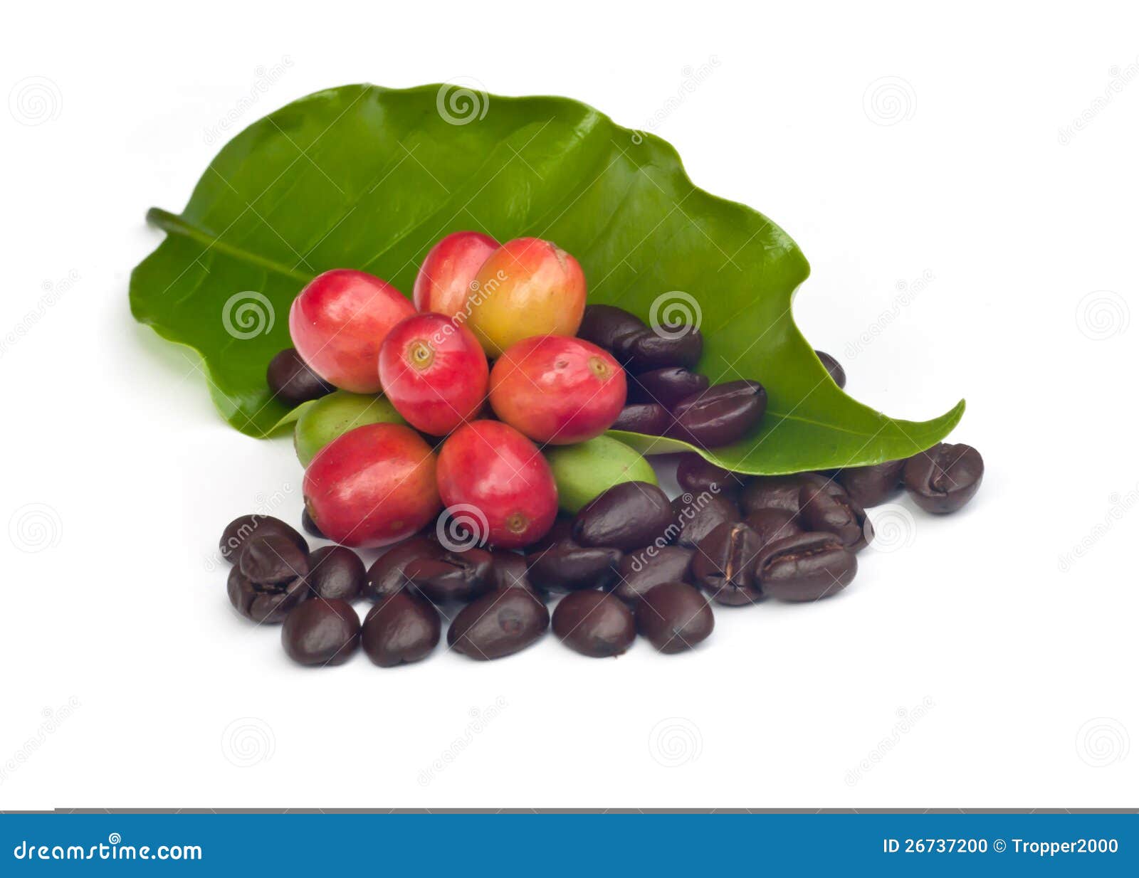 Coffee beans with leaf . stock photo. Image of black - 26737200