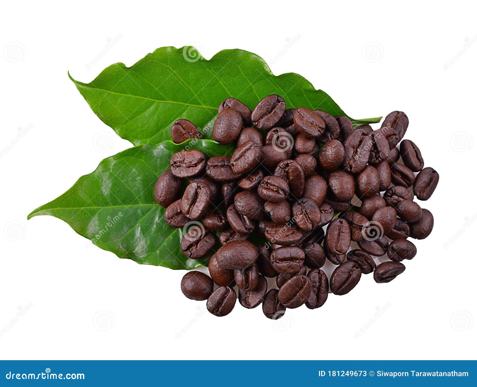 Coffee Beans and Coffee Leaf Isolated on White Stock Image - Image of ...