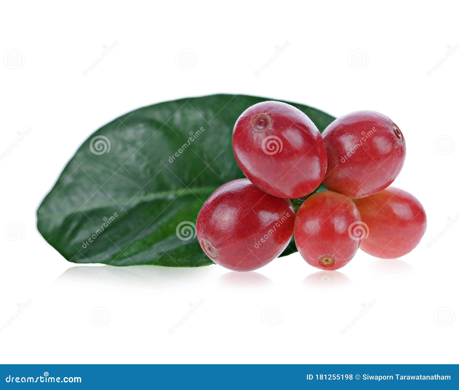 Coffee Beans and Coffee Leaf Isolated on White Stock Photo - Image of ...