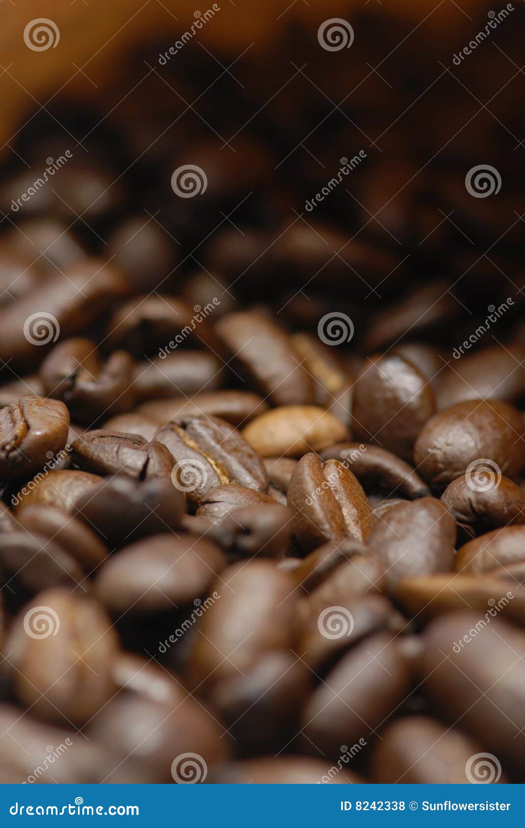 Coffee beans macro stock photo. Image of coffee, cappuccino - 8242338
