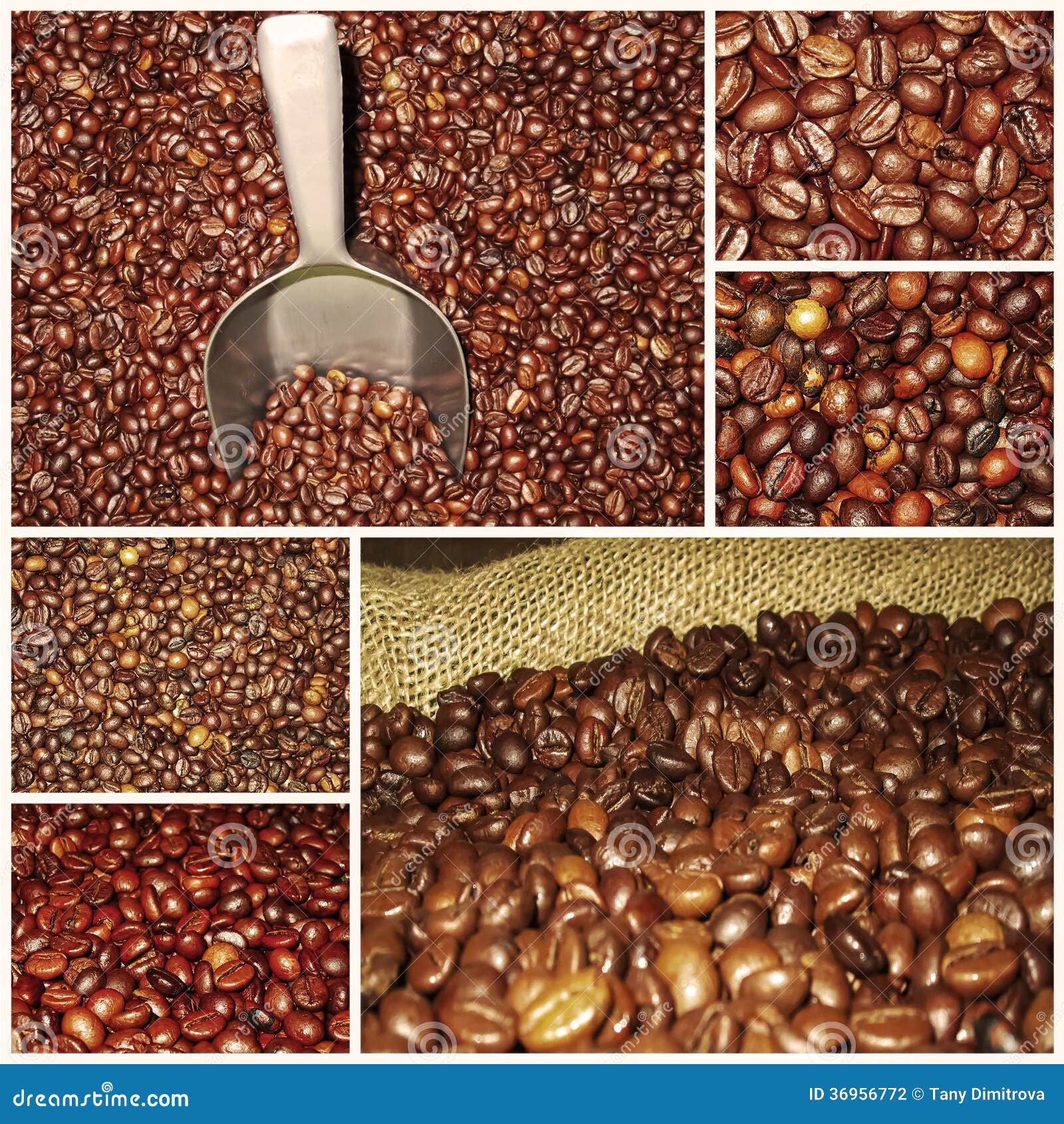 Coffee Beans Mixtures Collage Stock Photo - Image of breakfast ...
