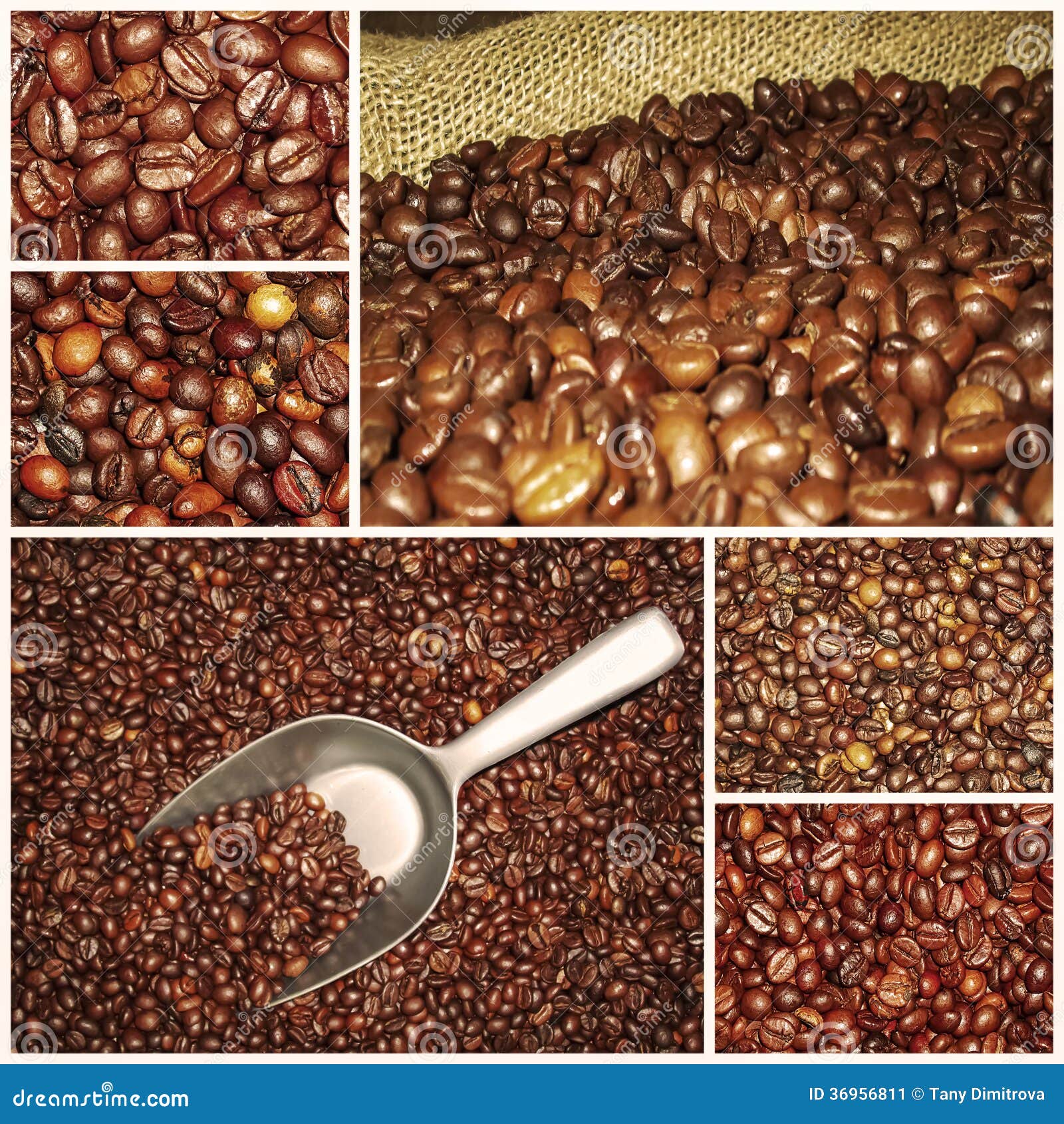 Coffee Beans Mixtures Collage Stock Image - Image of dark, natural ...