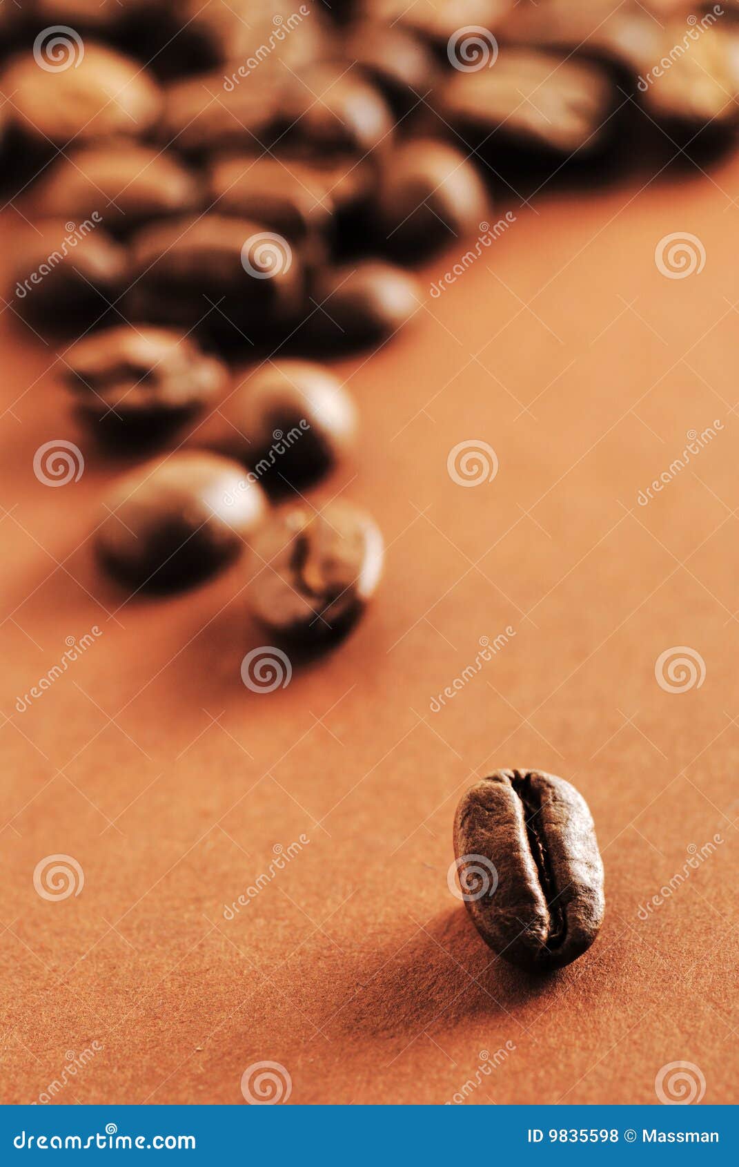 Coffee beans one stock photo. Image of flavor, drink, coffee - 9835598