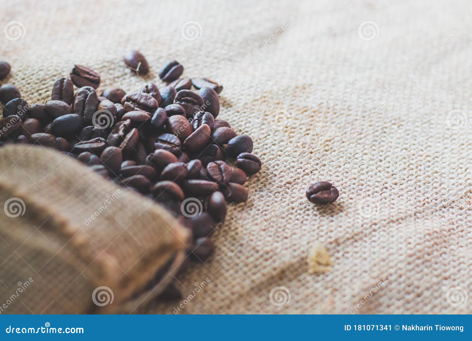 Coffee Beans Placed on Cloth Bags and in Cloth Bags Stock Image - Image ...