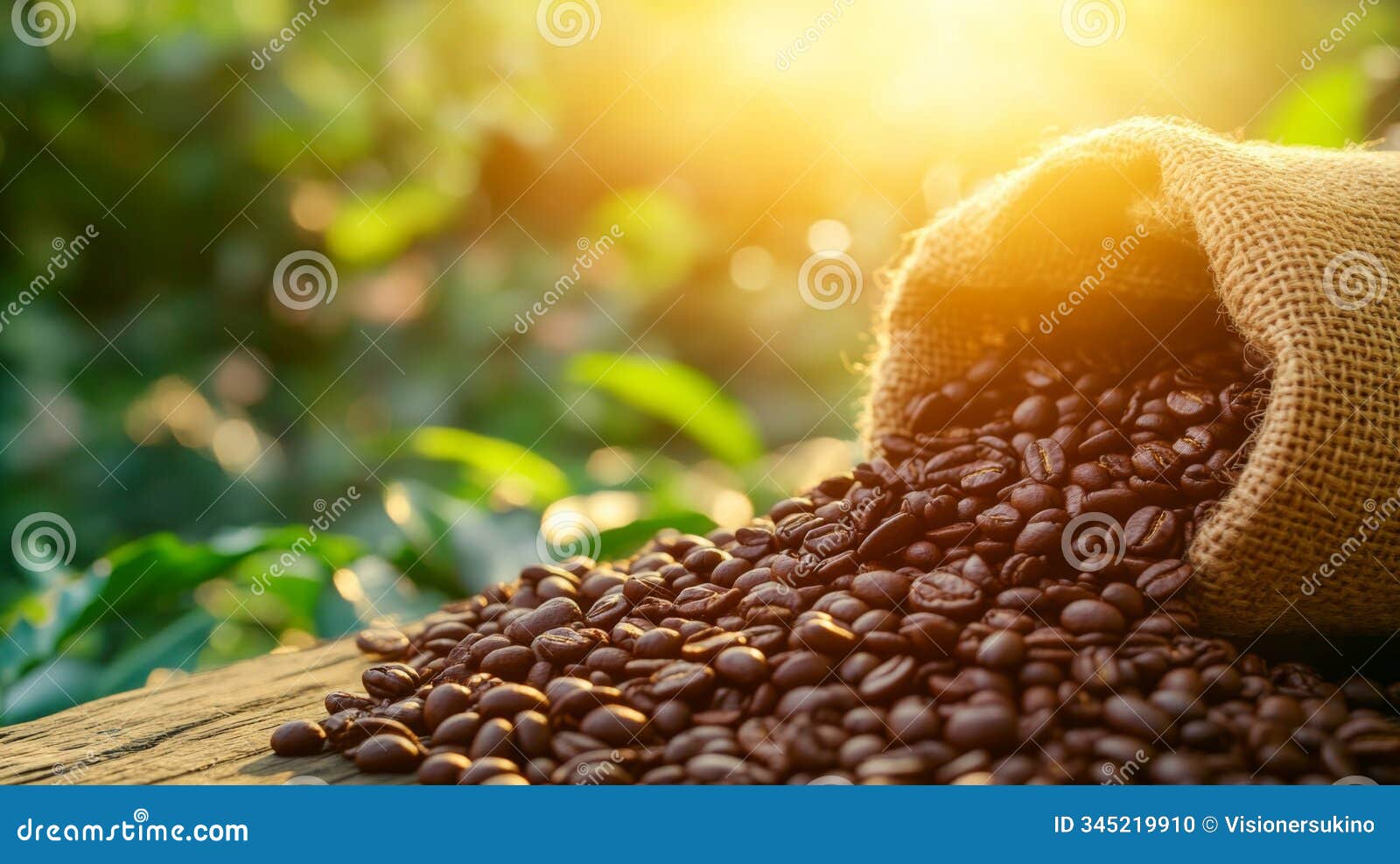 Coffee Beans Pouring from a Burlap Sack in the Sunshine Stock Photo ...