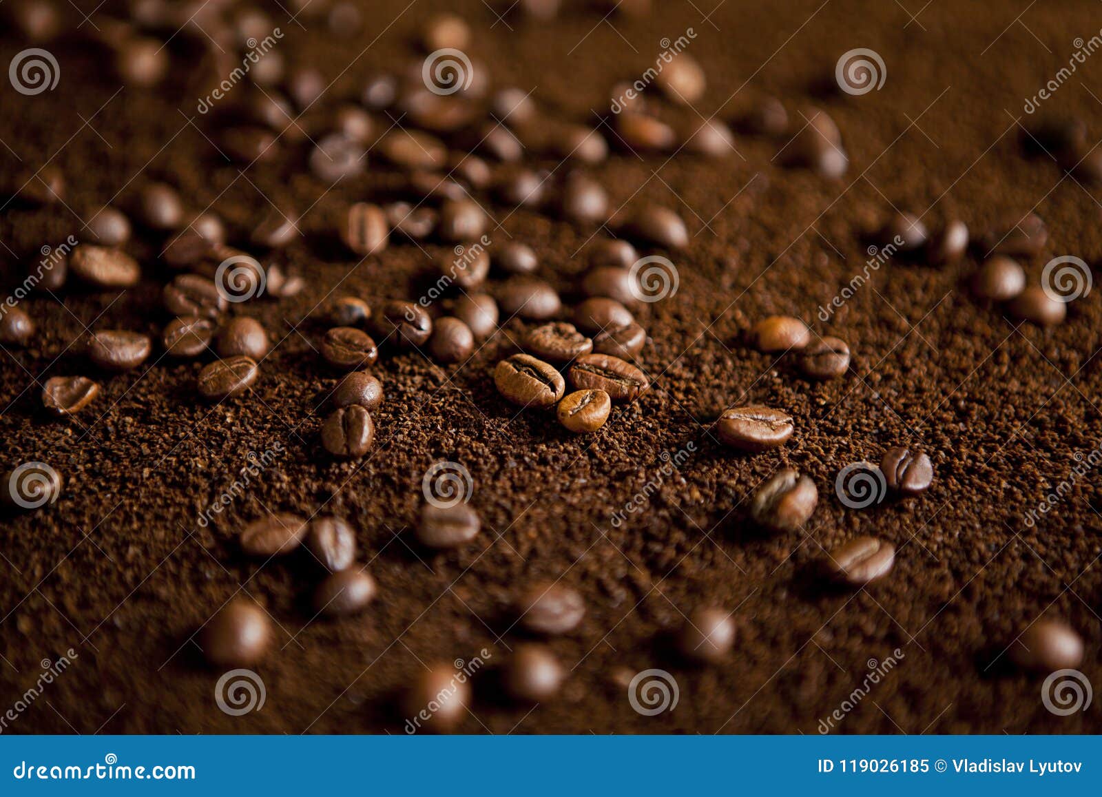 Coffee Beans on Coffee Powder Stock Image - Image of addiction, dark ...