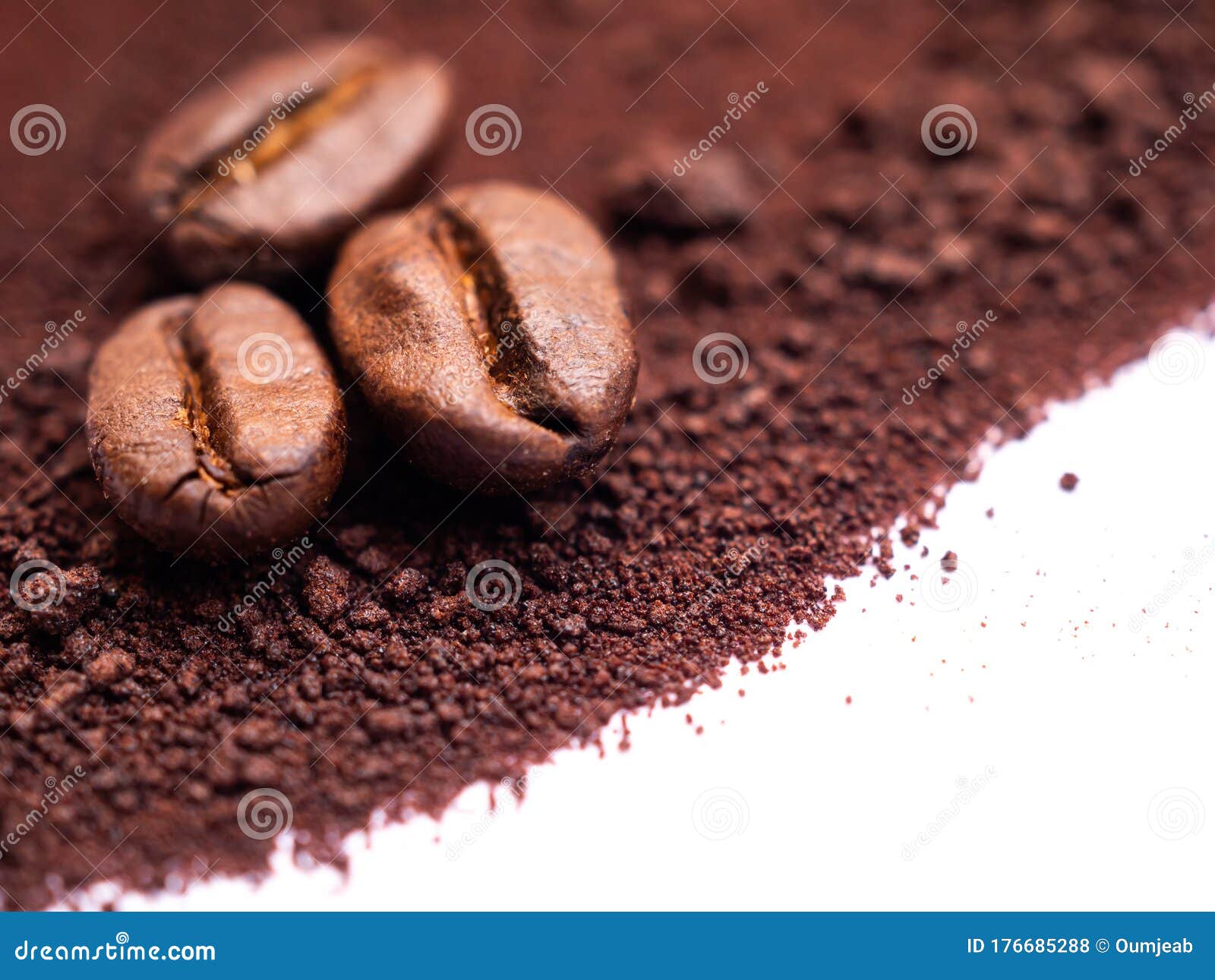 Coffee beans and powder stock photo. Image of energy - 176685288