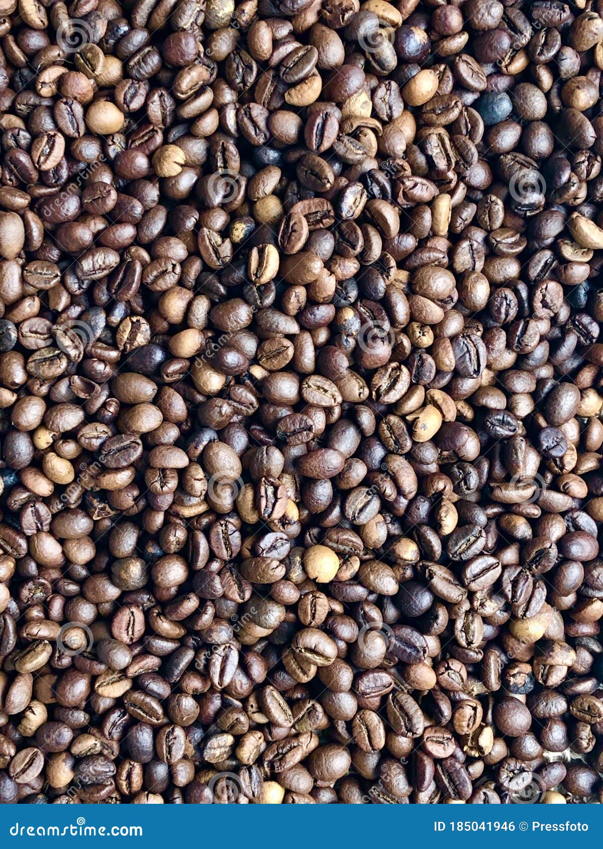 Coffee Beans Production Process Stock Photo - Image of agricultural ...