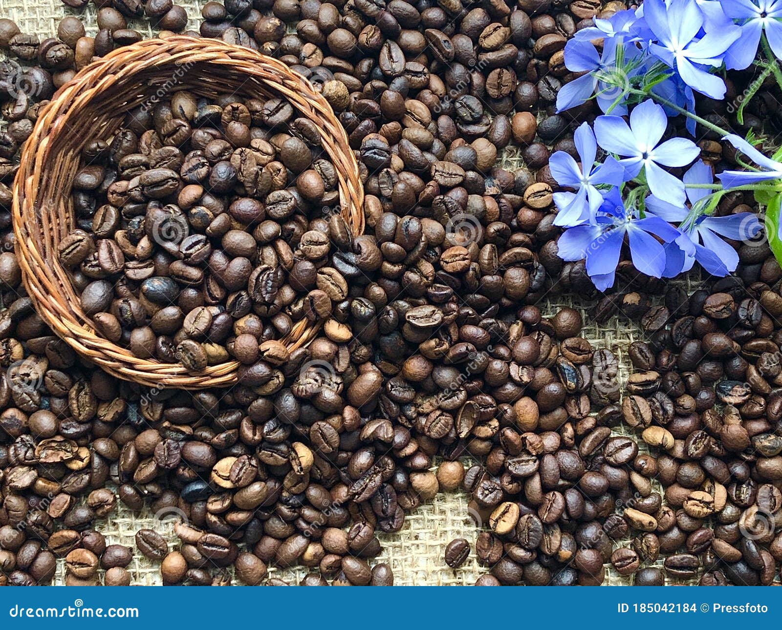Coffee Beans Production Process Stock Photo - Image of detail ...
