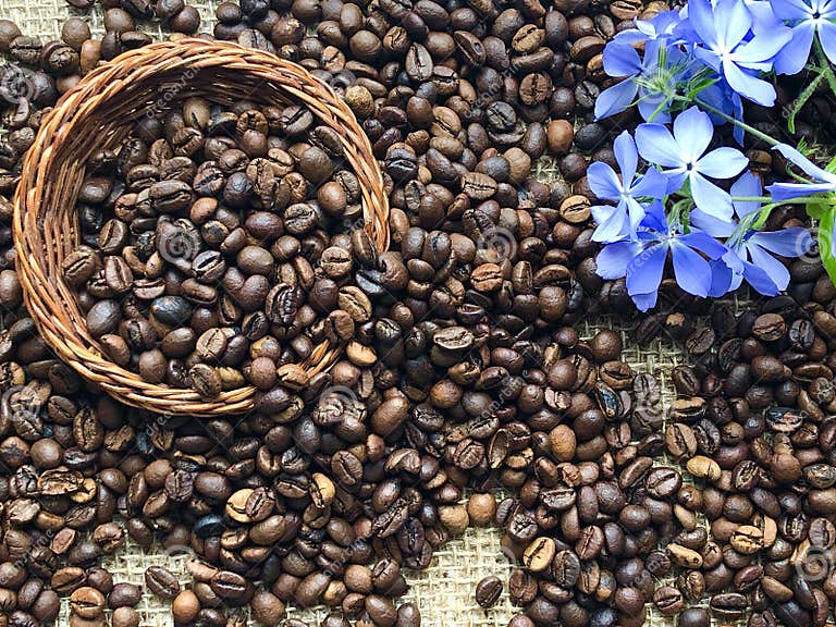 Coffee Beans Production Process Stock Photo - Image of detail ...