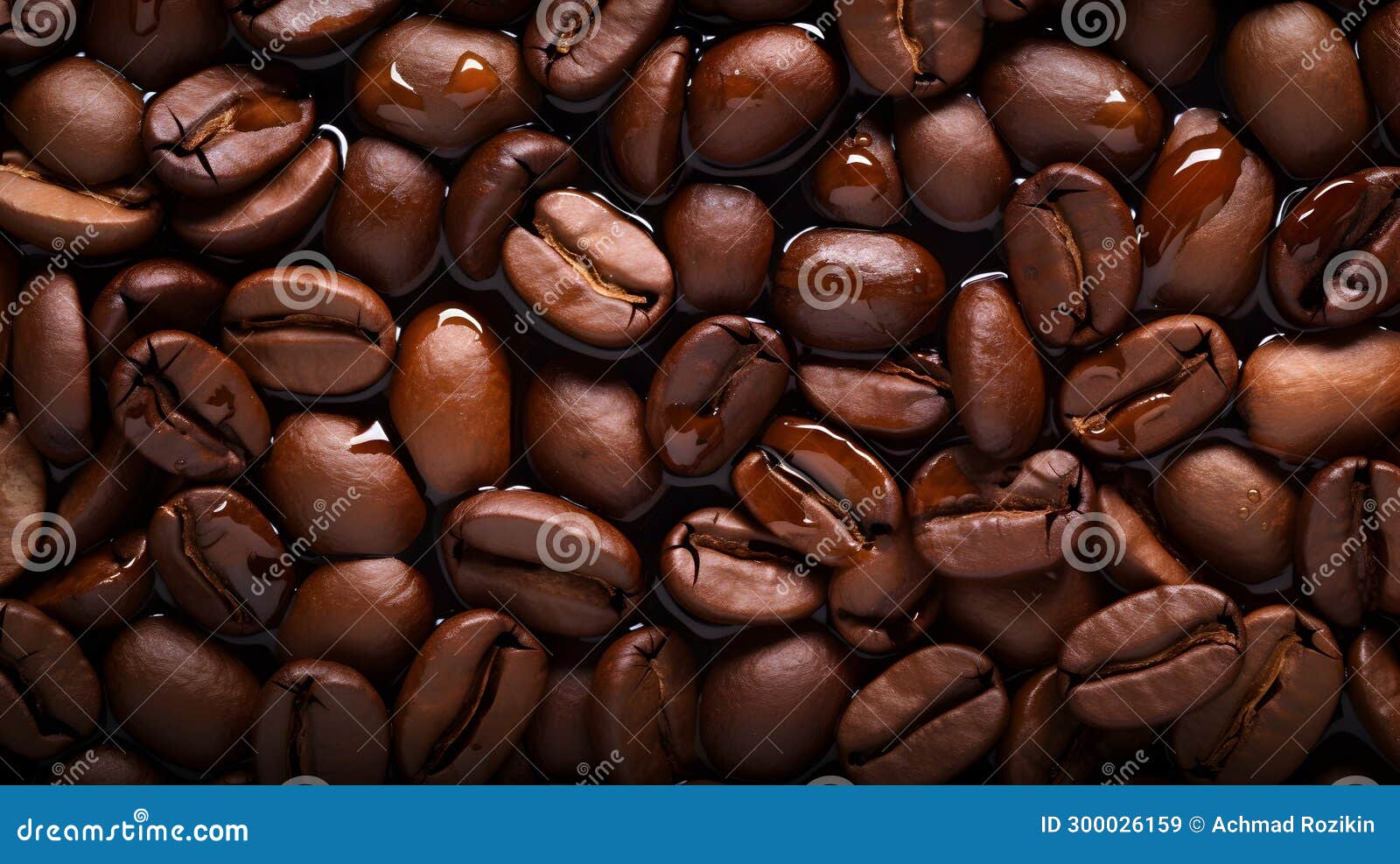 Coffee Beans in a Puddle of Fresh Water Stock Illustration ...