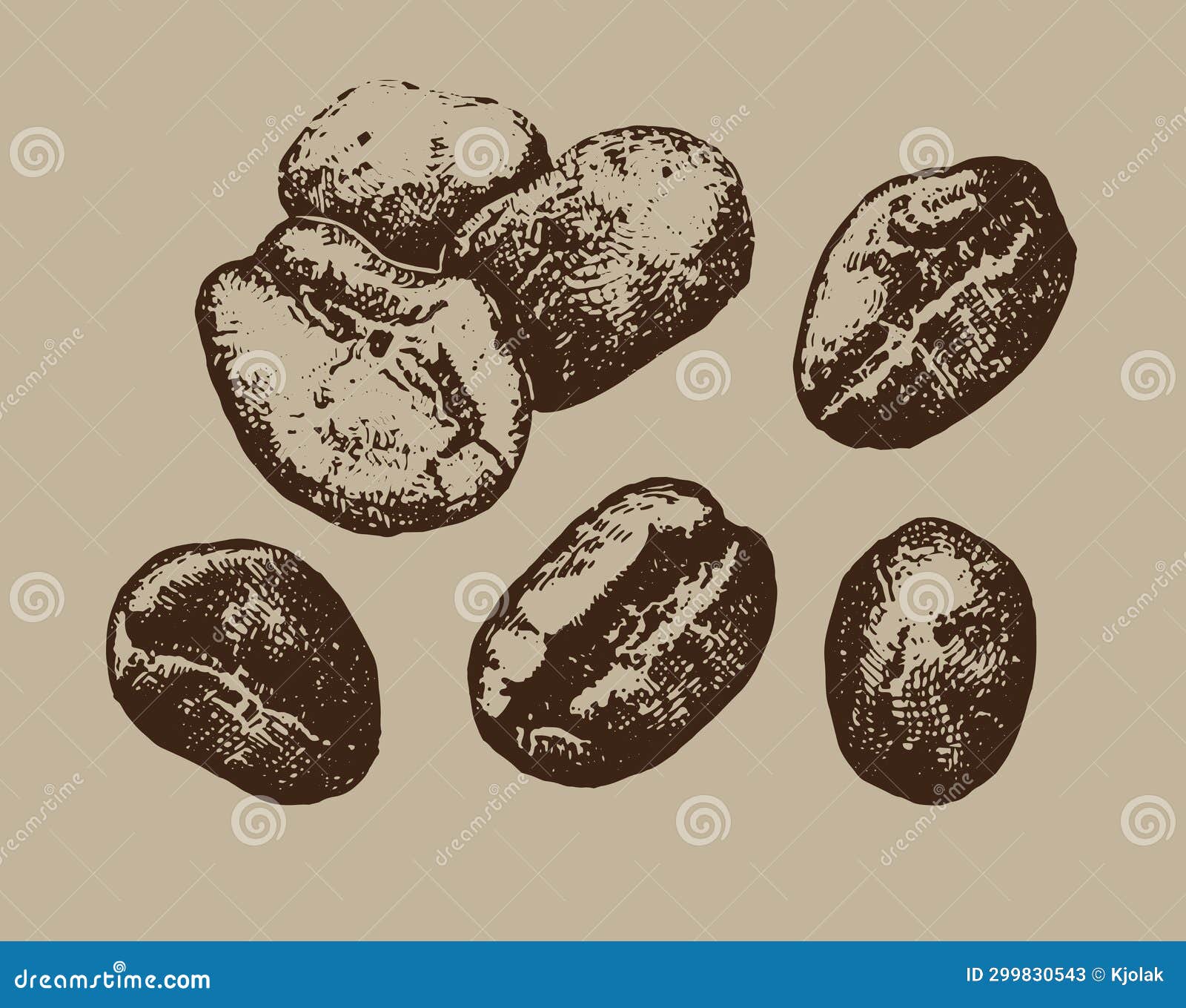 Coffee Beans. Realistic Hand Drawing Stock Illustration - Illustration ...
