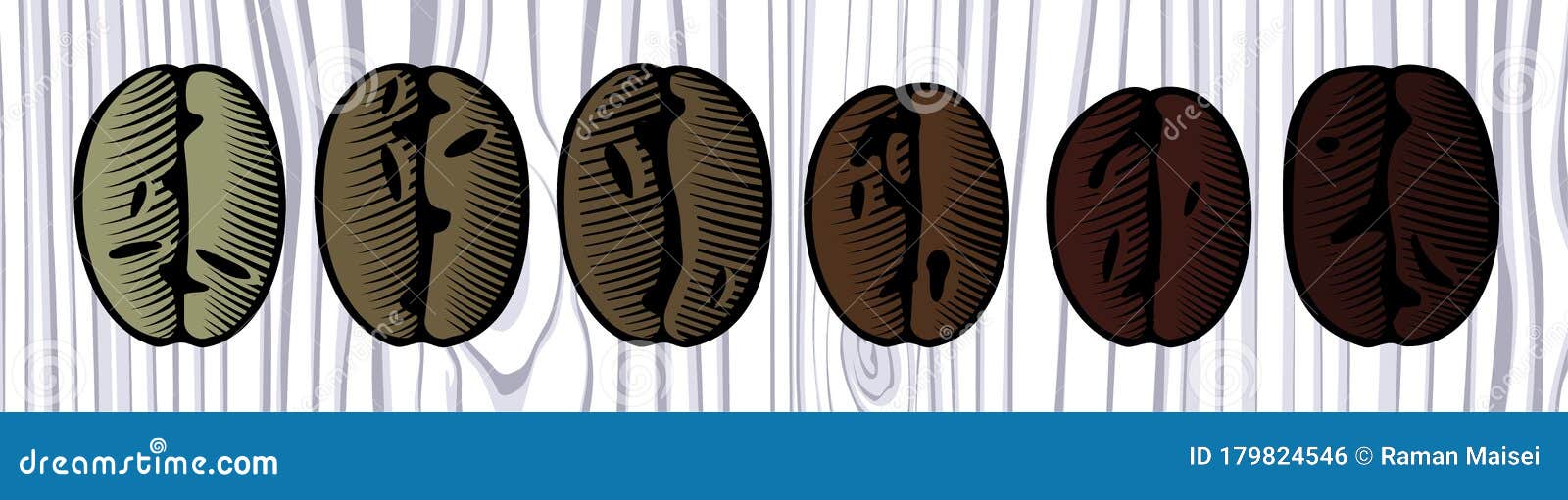 Coffee Beans Realistic Set Showing Various Stages of Roasting. Stock ...