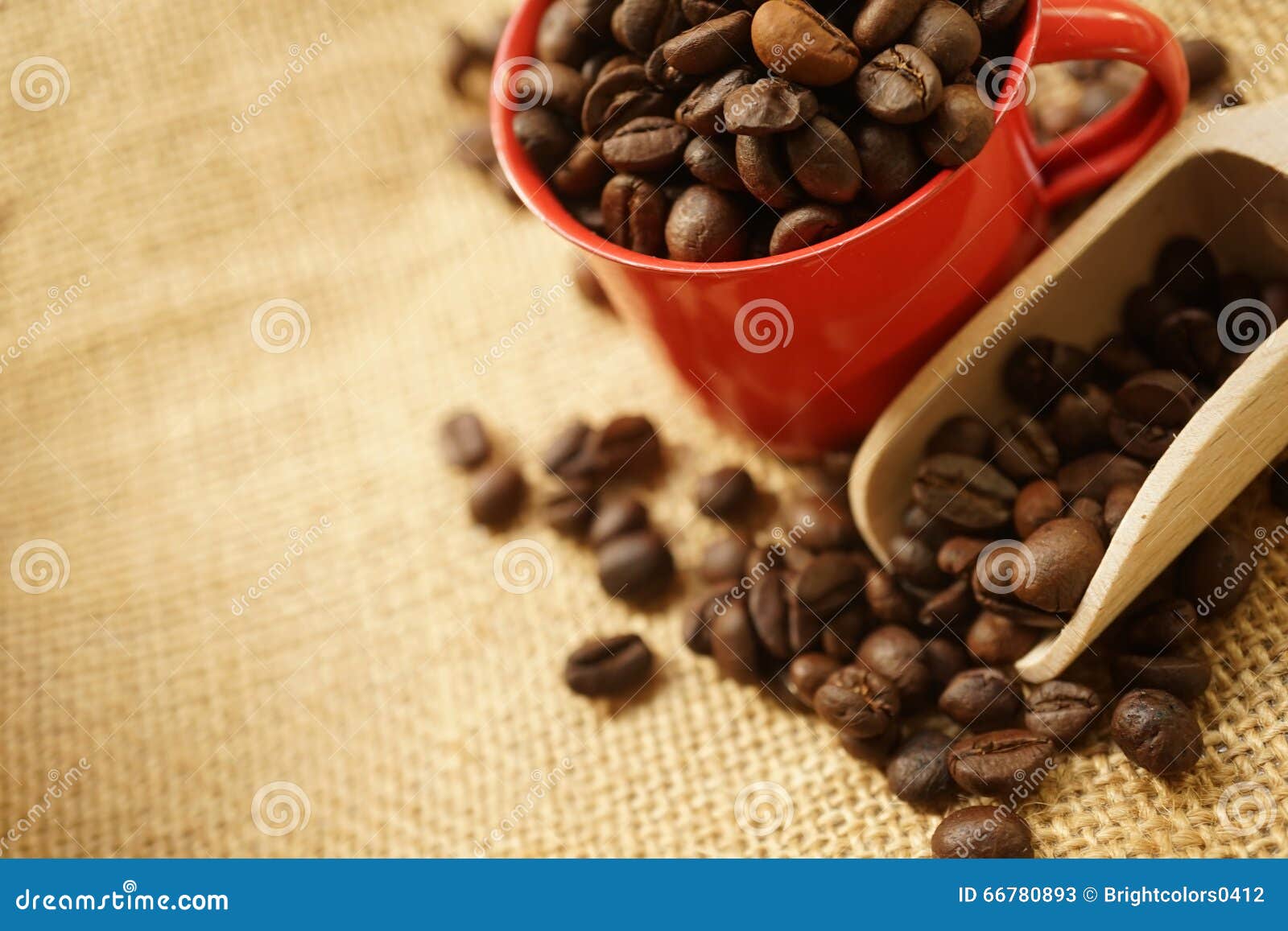 2,614 Gunny Bag Photos - Free & Royalty-Free Stock Photos from Dreamstime