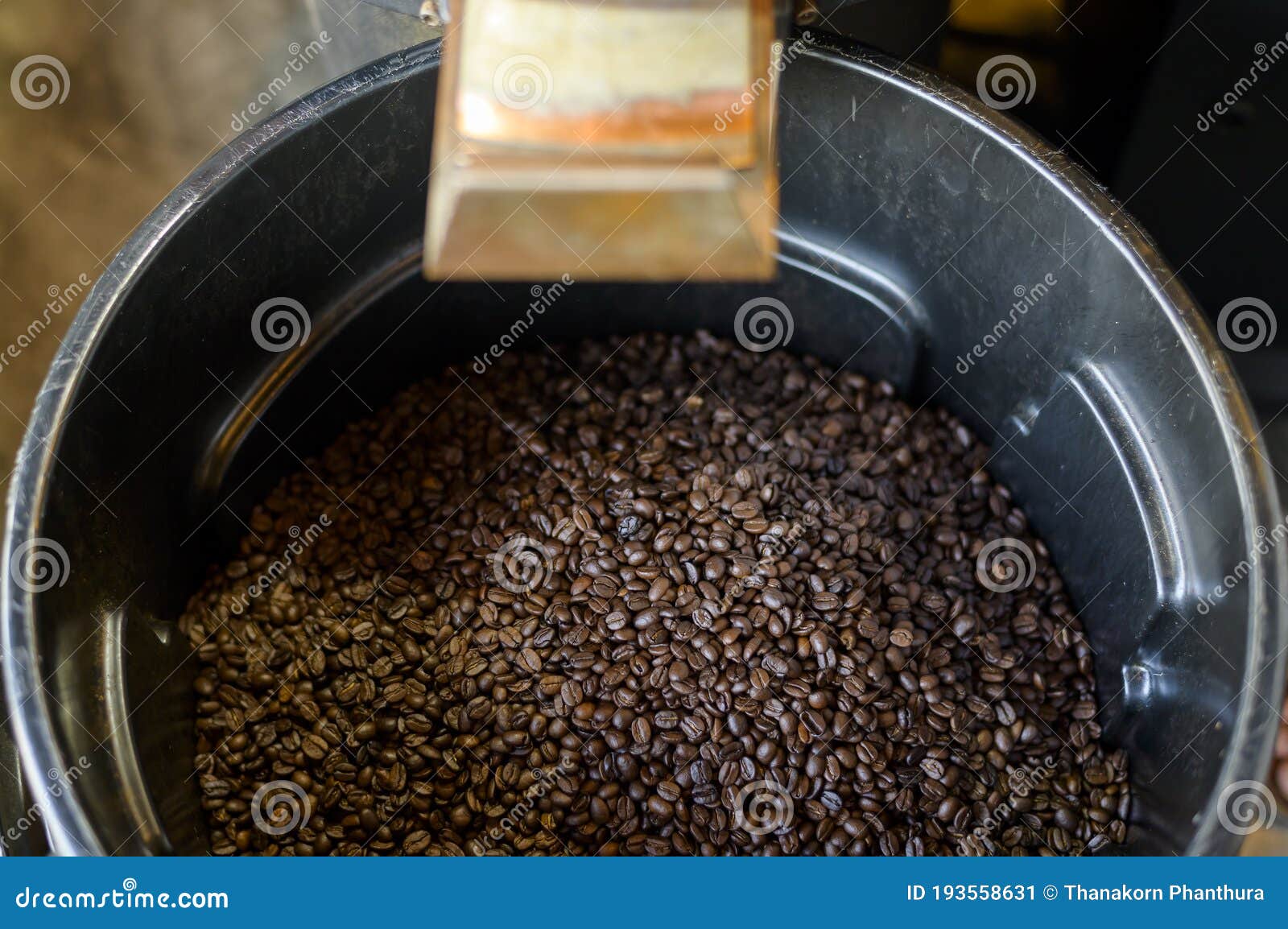 Coffee Beans is Roasting in Roaster Machine in Coffee Shop Stock Image ...