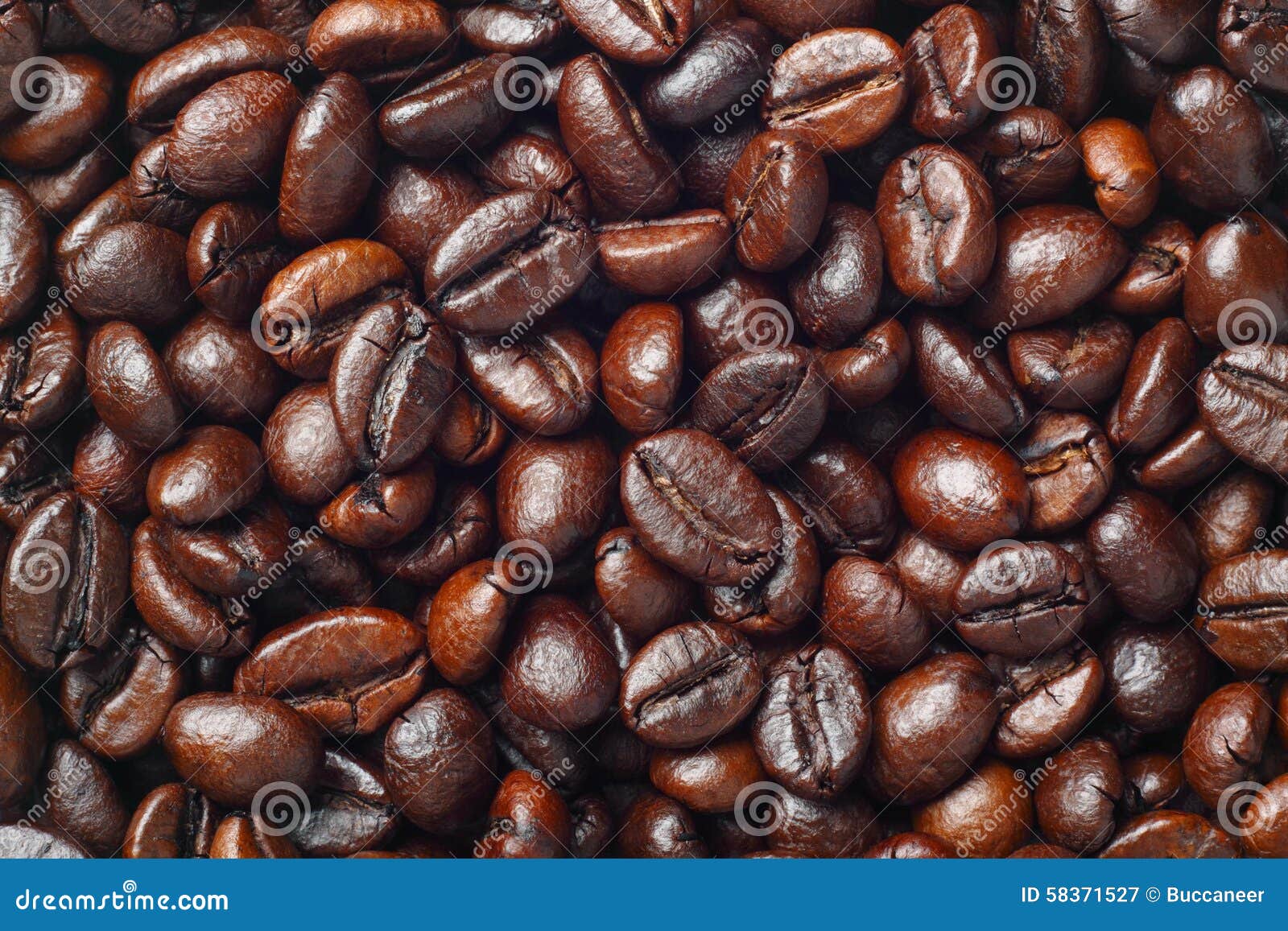 Coffee Beans (Robusta Coffee) Stock Image - Image of coffea, close ...