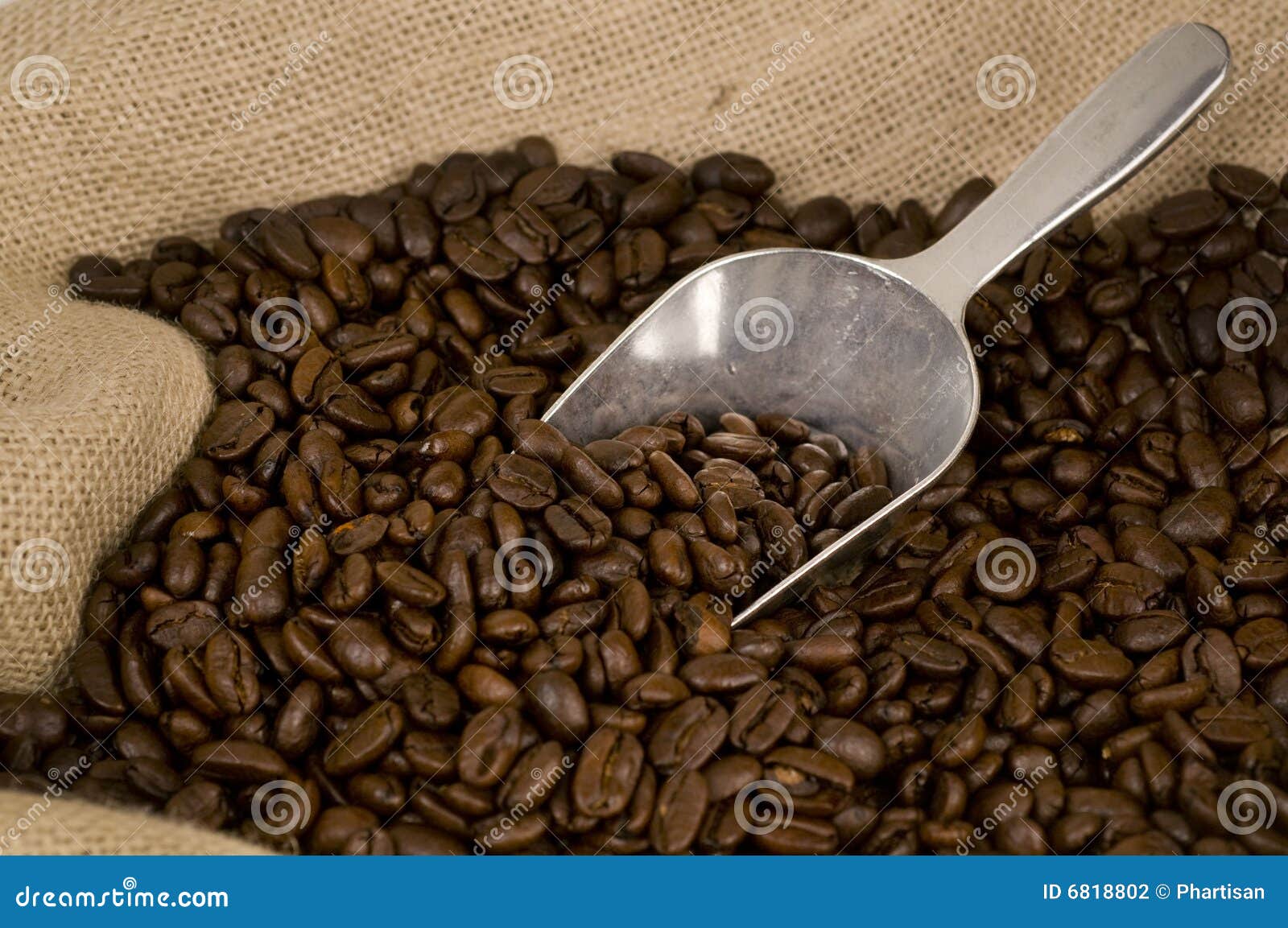 Coffee Beans and Silver Scoop Stock Photo - Image of objects, view: 6818802