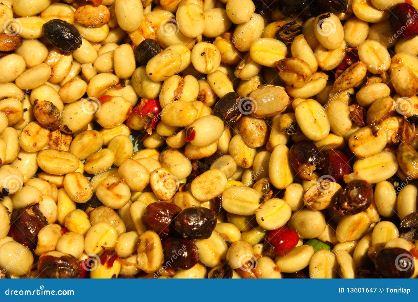 315 Skinless Fruit Stock Photos - Free & Royalty-Free Stock Photos from ...