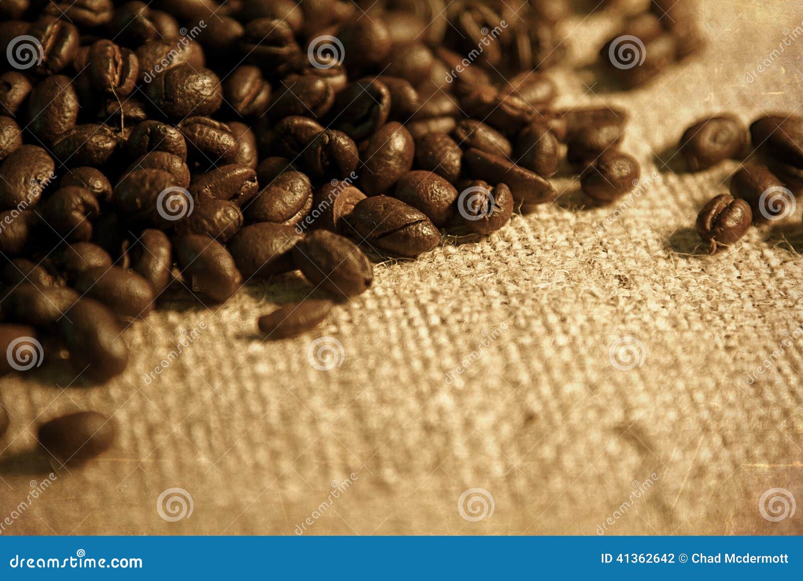 Coffee Beans Spilling from a Burlap Stock Photo - Image of burlap ...