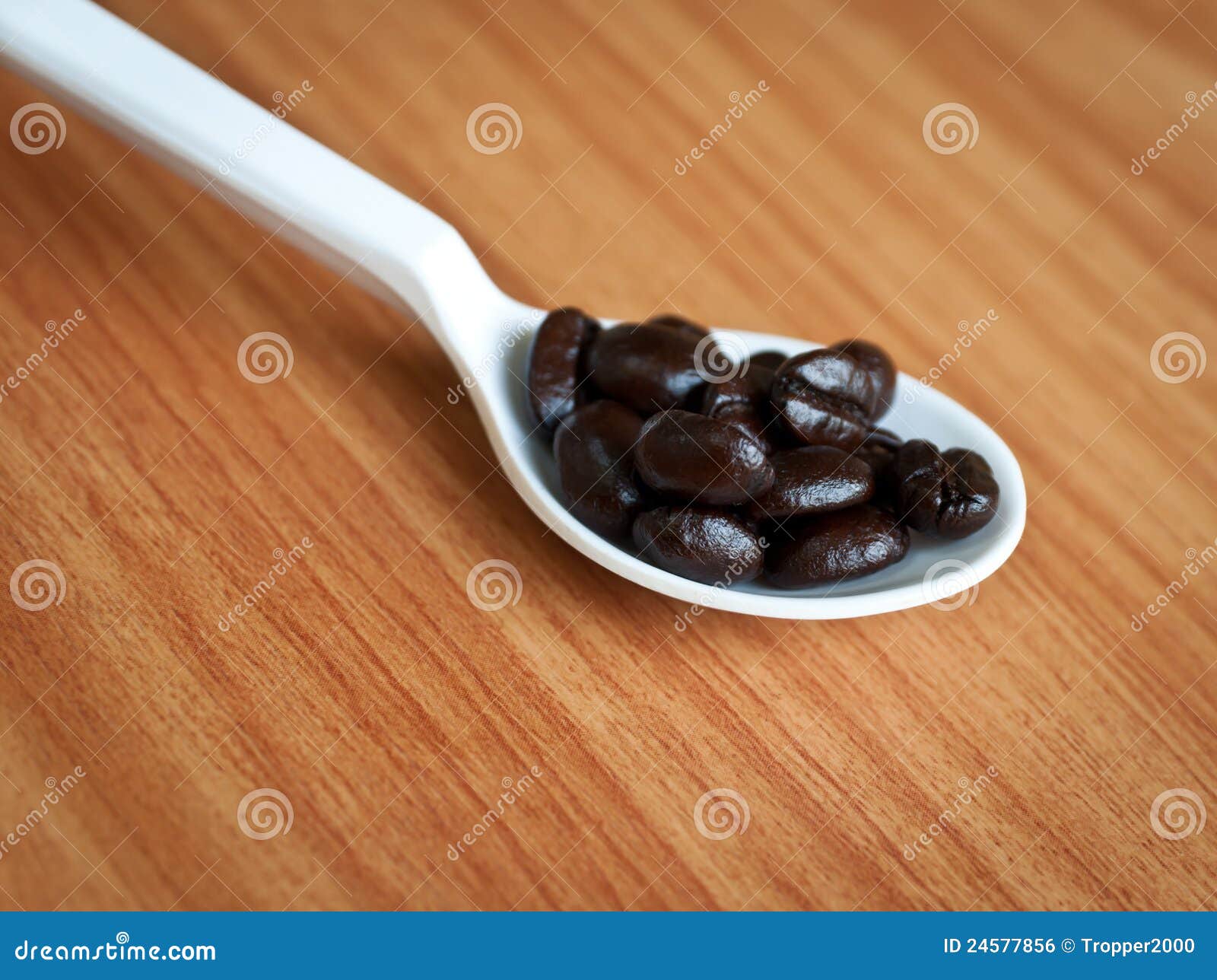 Coffee beans in a spoon . stock photo. Image of food - 24577856