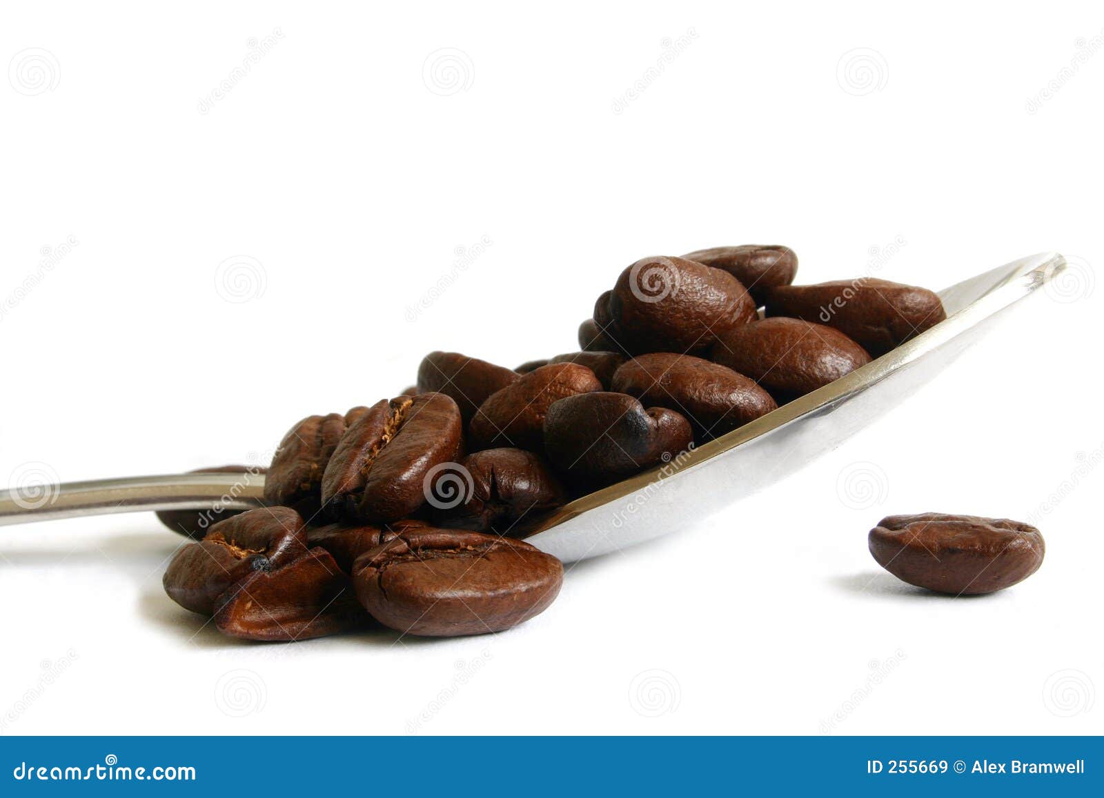 Coffee Beans on Spoon stock image. Image of break, white - 255669